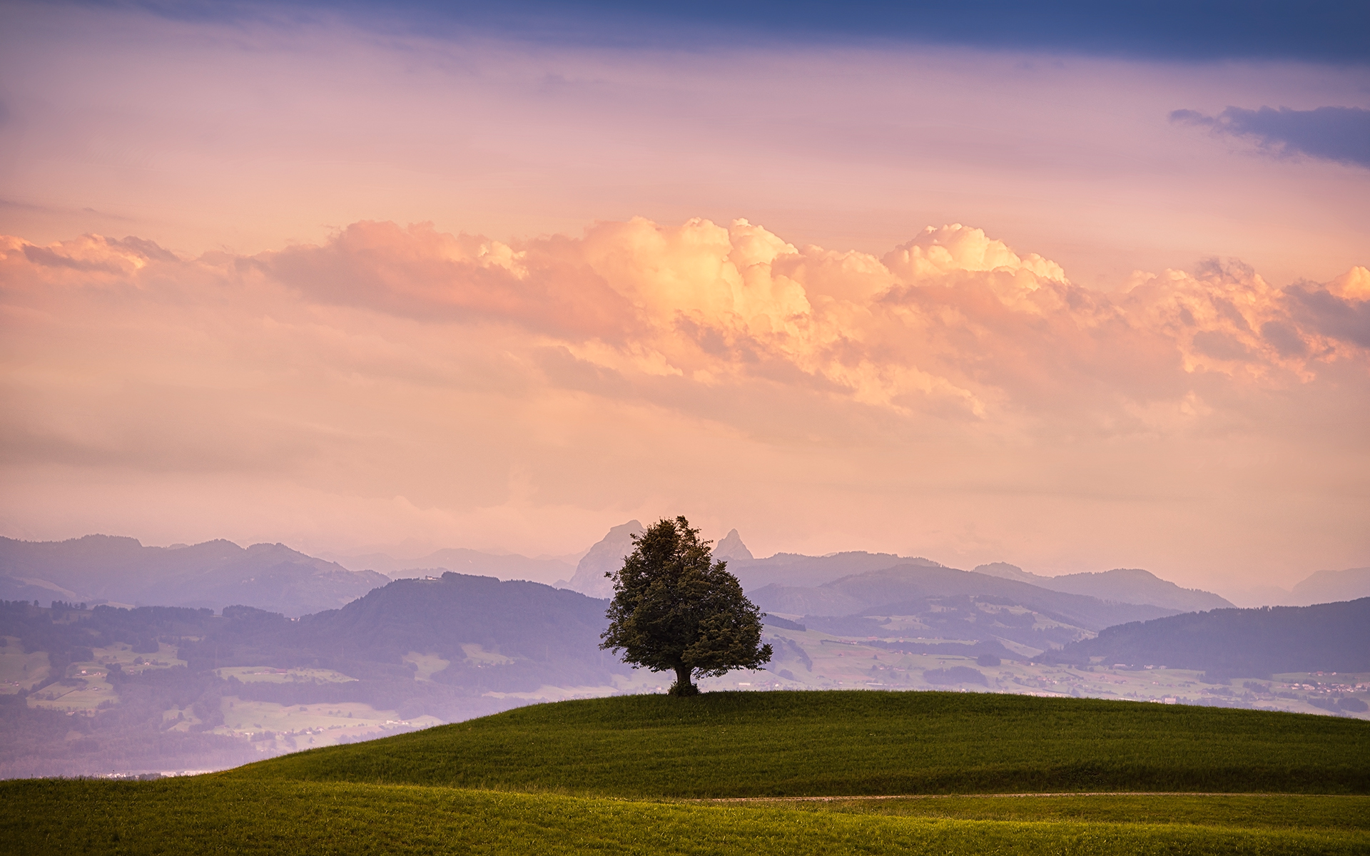 Download Lonely Tree Landscape Sky Nature Tree Image