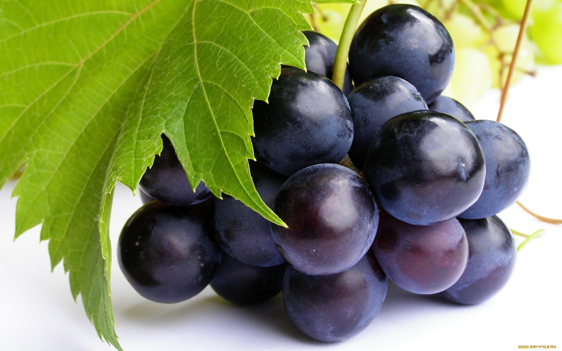 Download Food Grapes Image