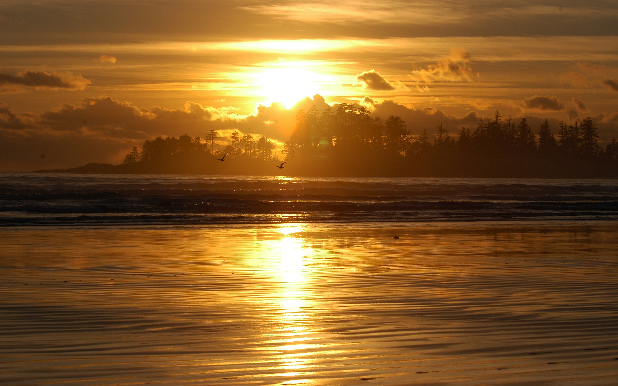 Download Nature Sunrise Image