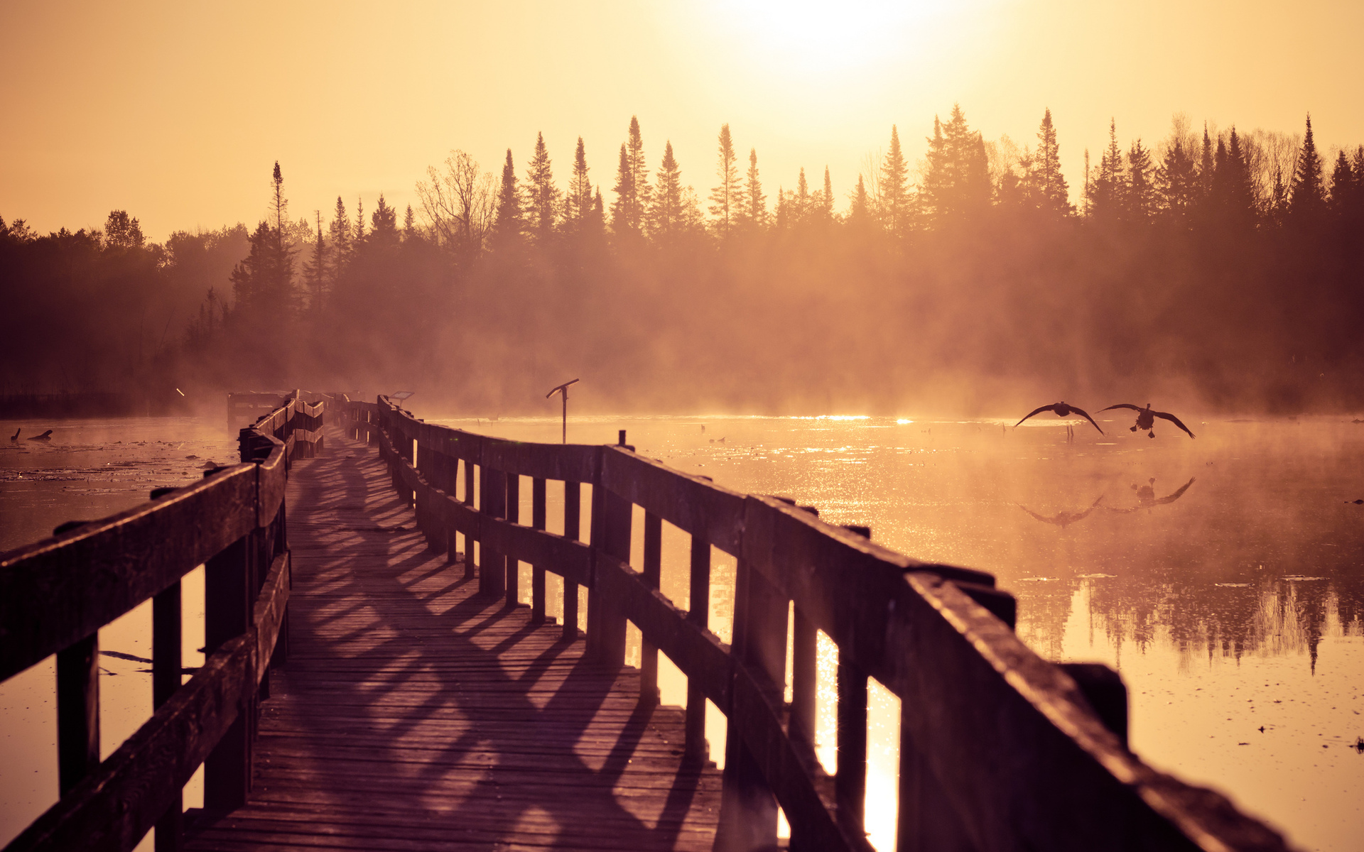 Pier Picture - Image Abyss
