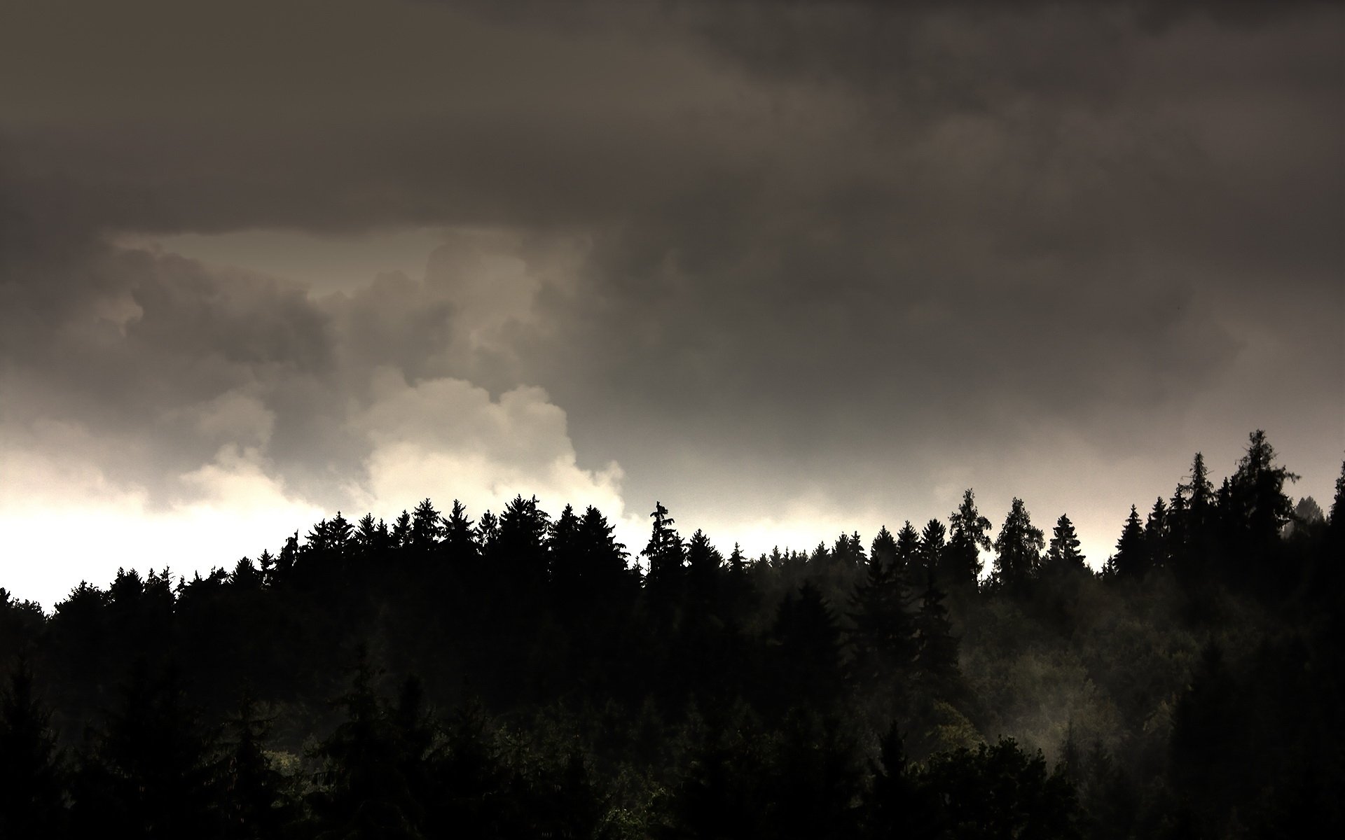 Mist Image - ID: 270225 - Image Abyss