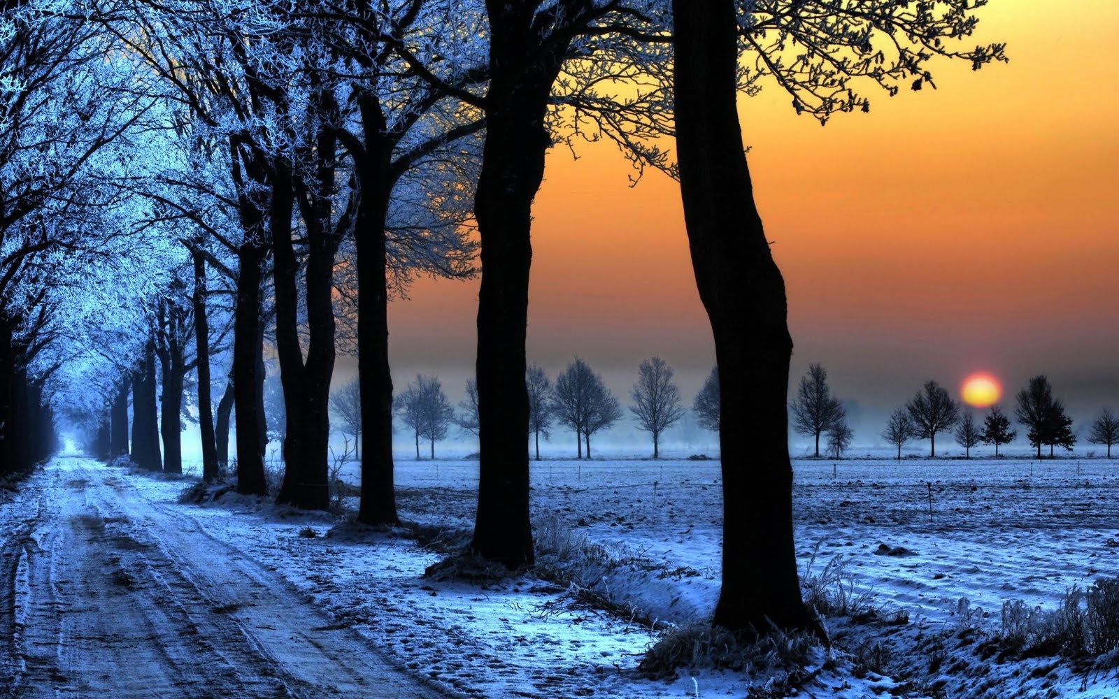 Download Nature Winter Image