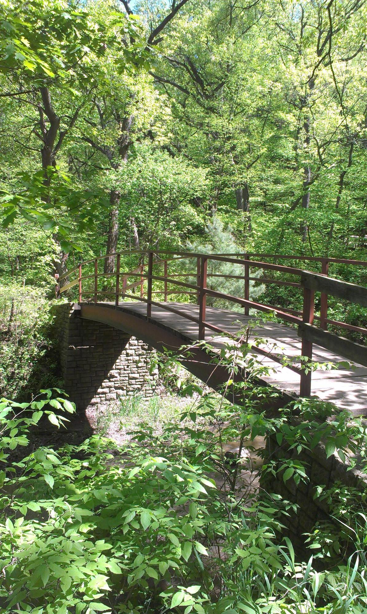 Download Man Made Bridge Forest Nature Greenery Image