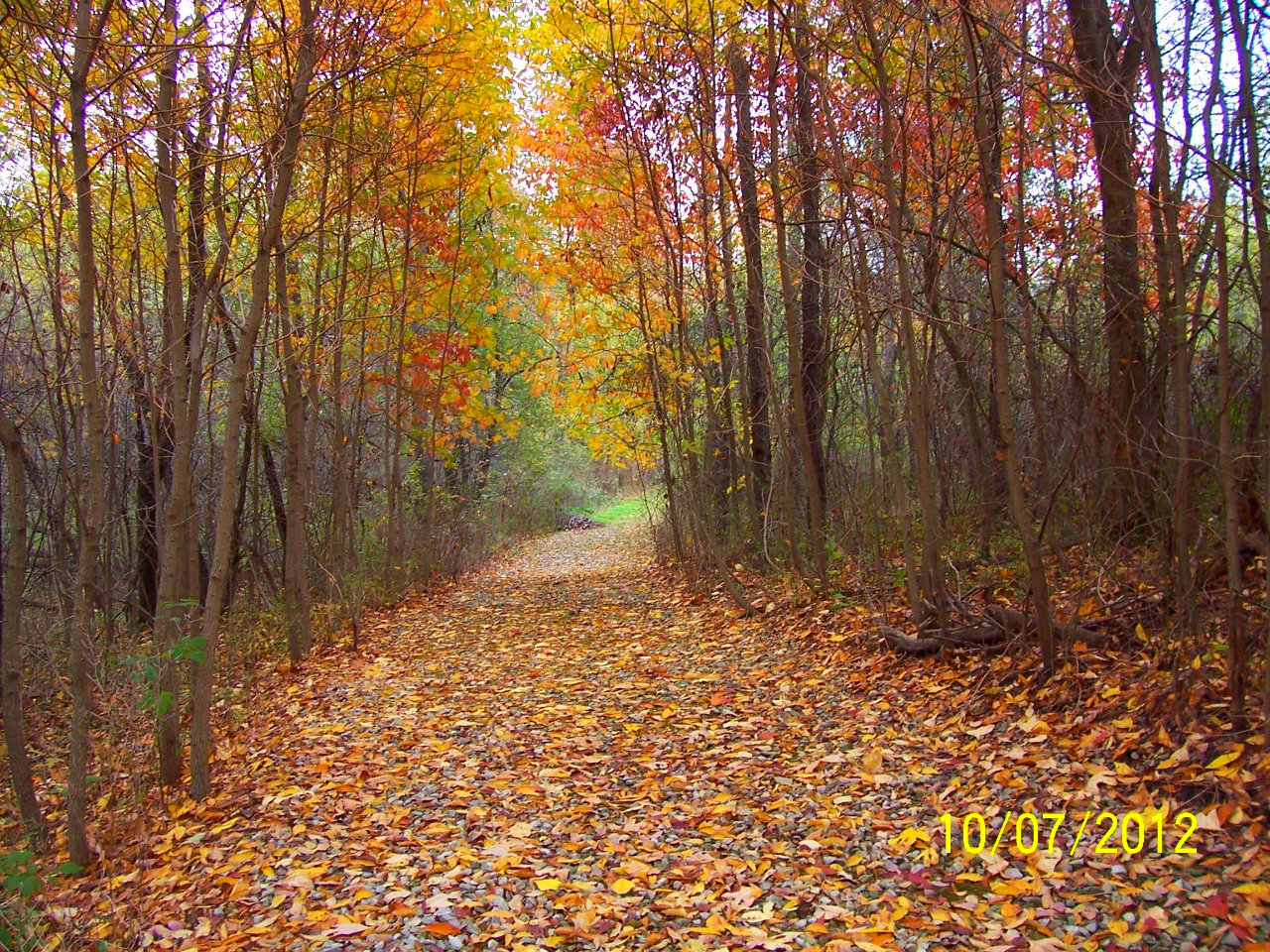 Download Ohio Nature Fall Image