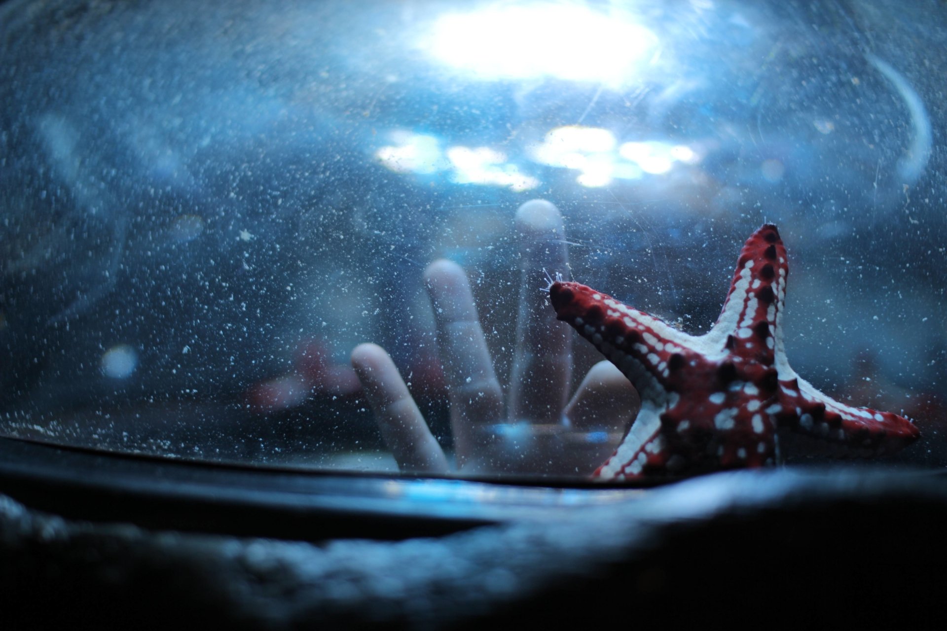 Underwater - Desktop Wallpapers, Phone Wallpaper, PFP, Gifs, and More!