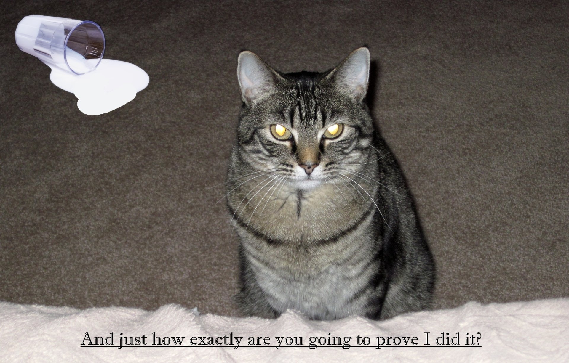 plastic.jpg Desktop Wallpapers, Phone Wallpaper, PFP, Gifs, and More At ...