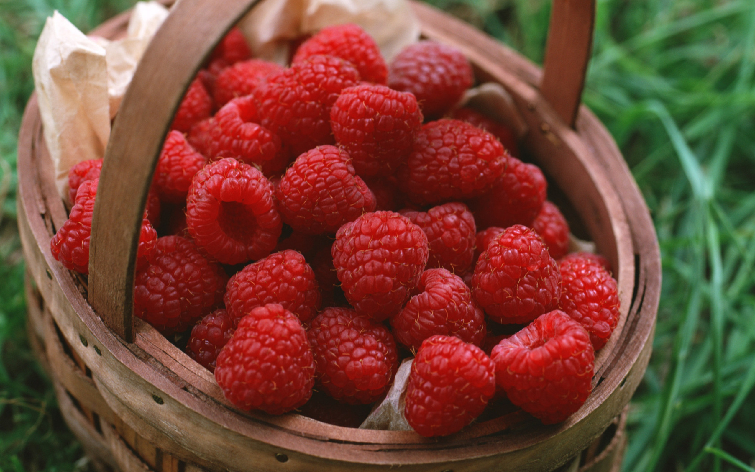 Download Food Raspberry Image
