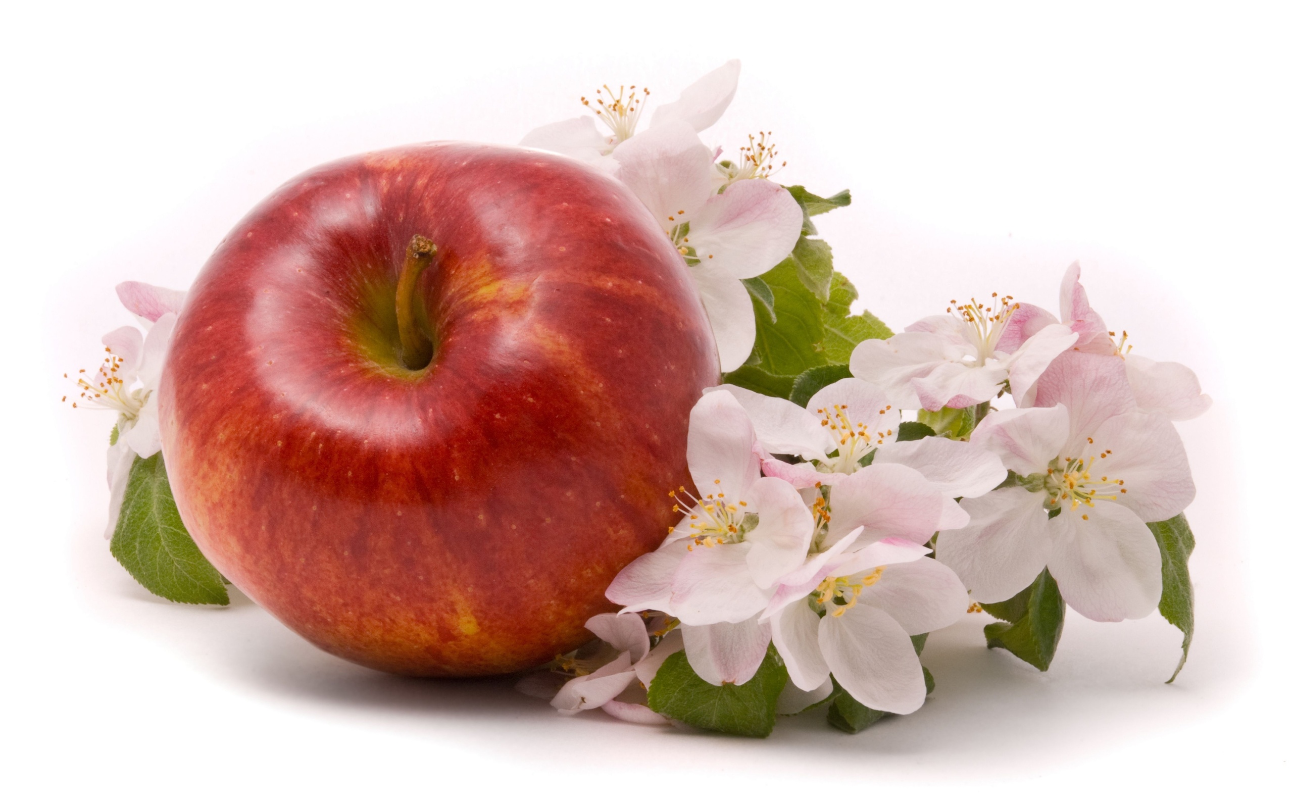 Download Food Apple Image
