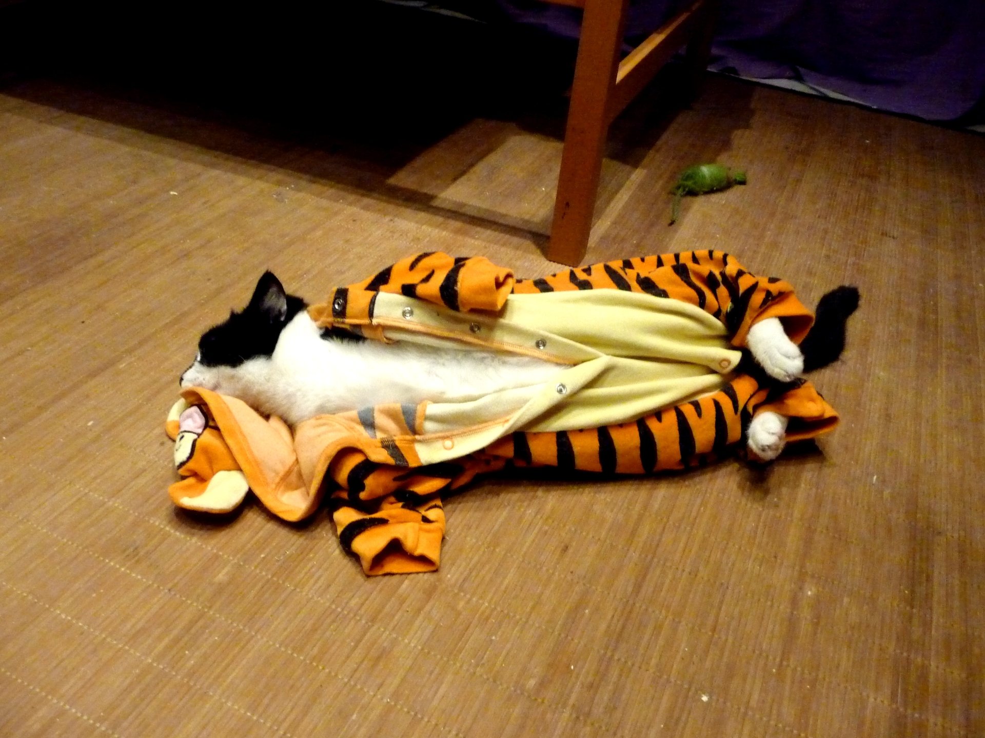 Gizmo by misscrobenini