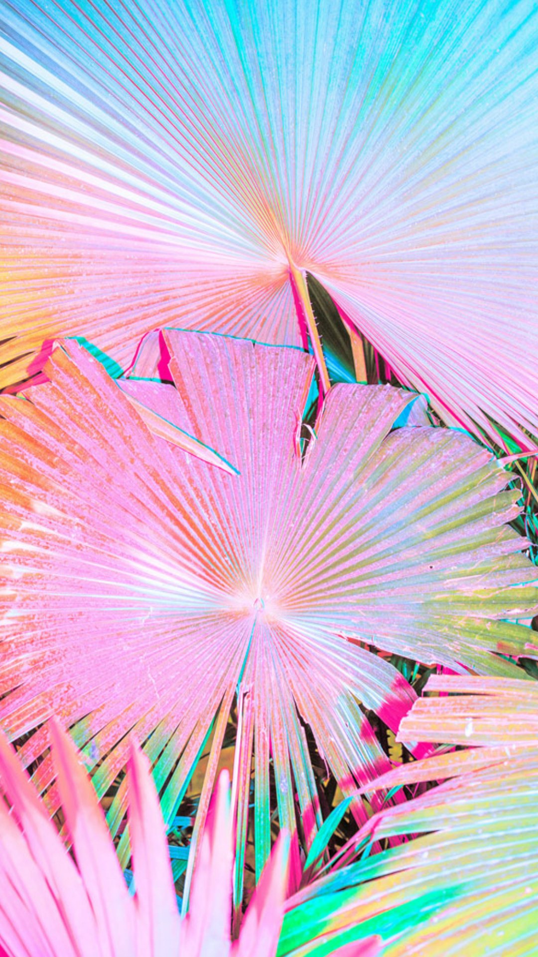 Download Abstract Artistic Image