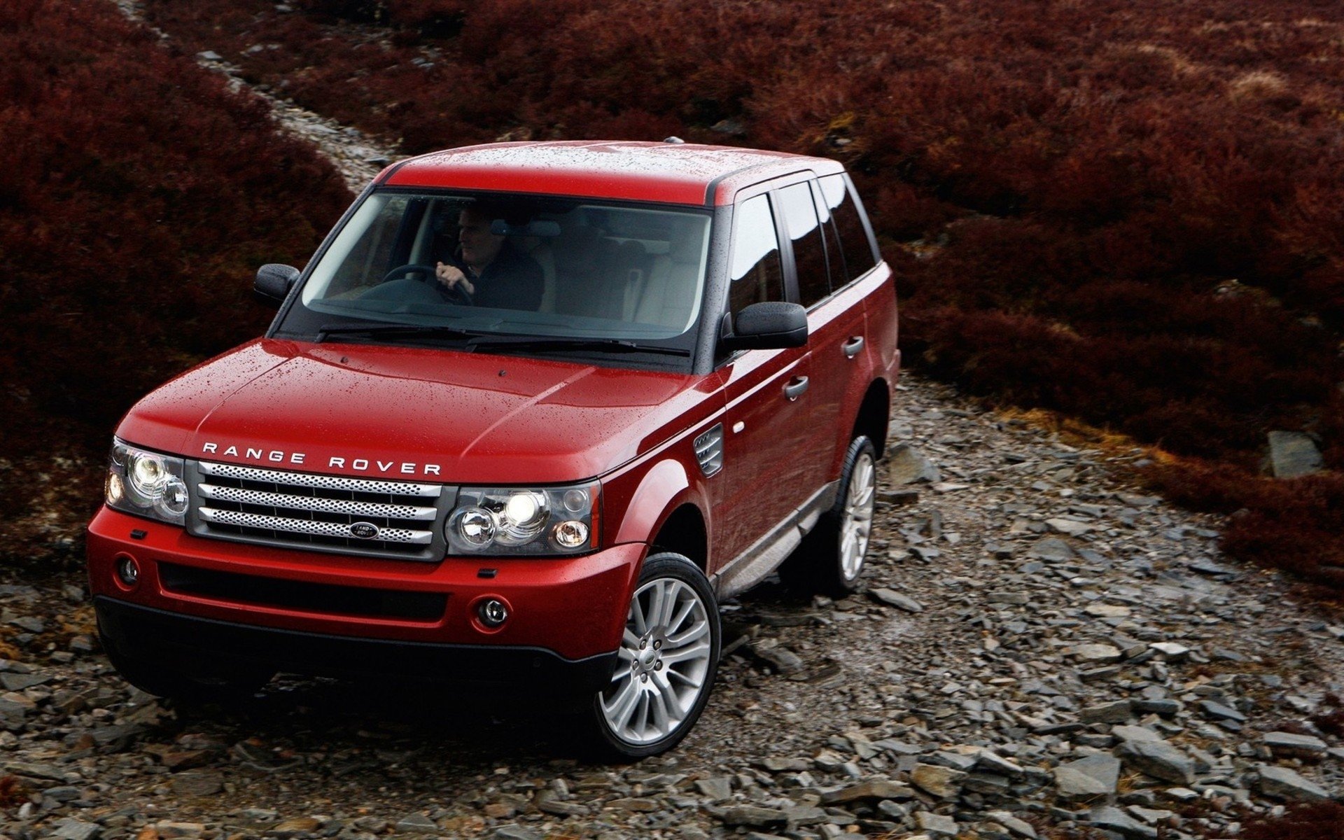 Range Rover Image - ID: 272423 - Image Abyss