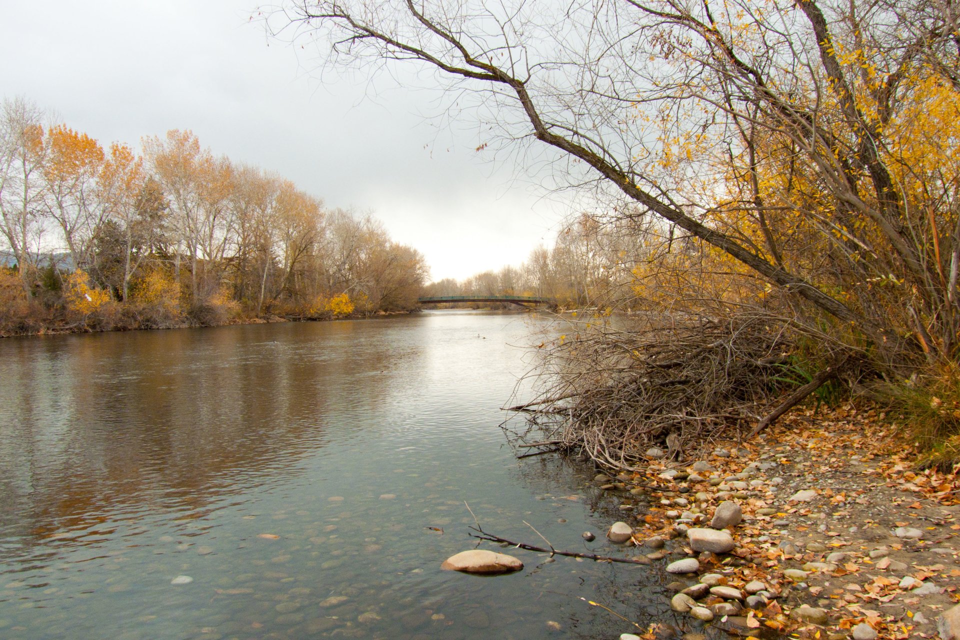 The Boise River by Jarfmon