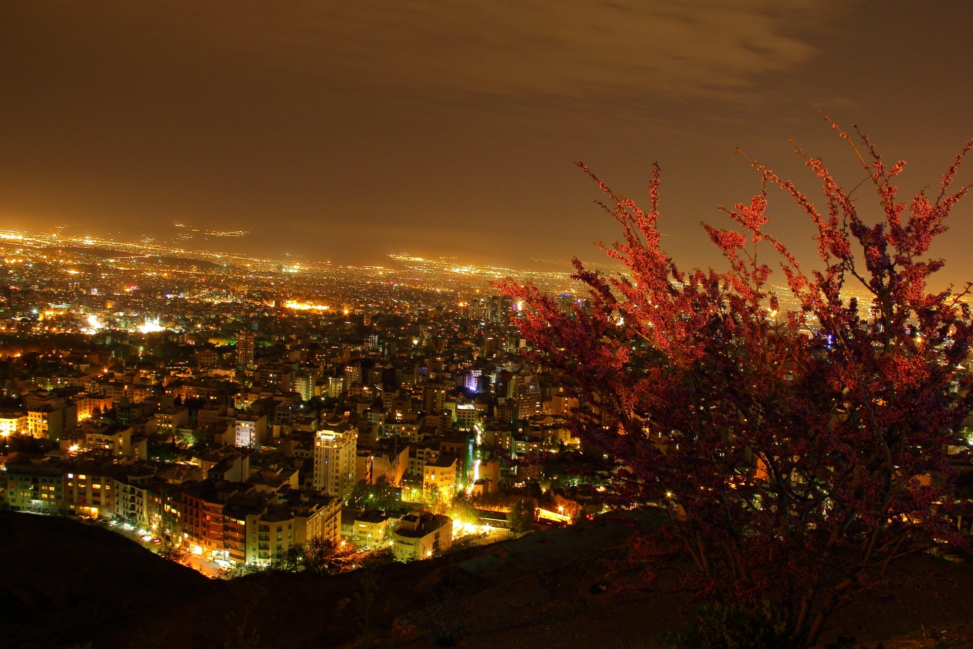 night in tehran by shahabfth