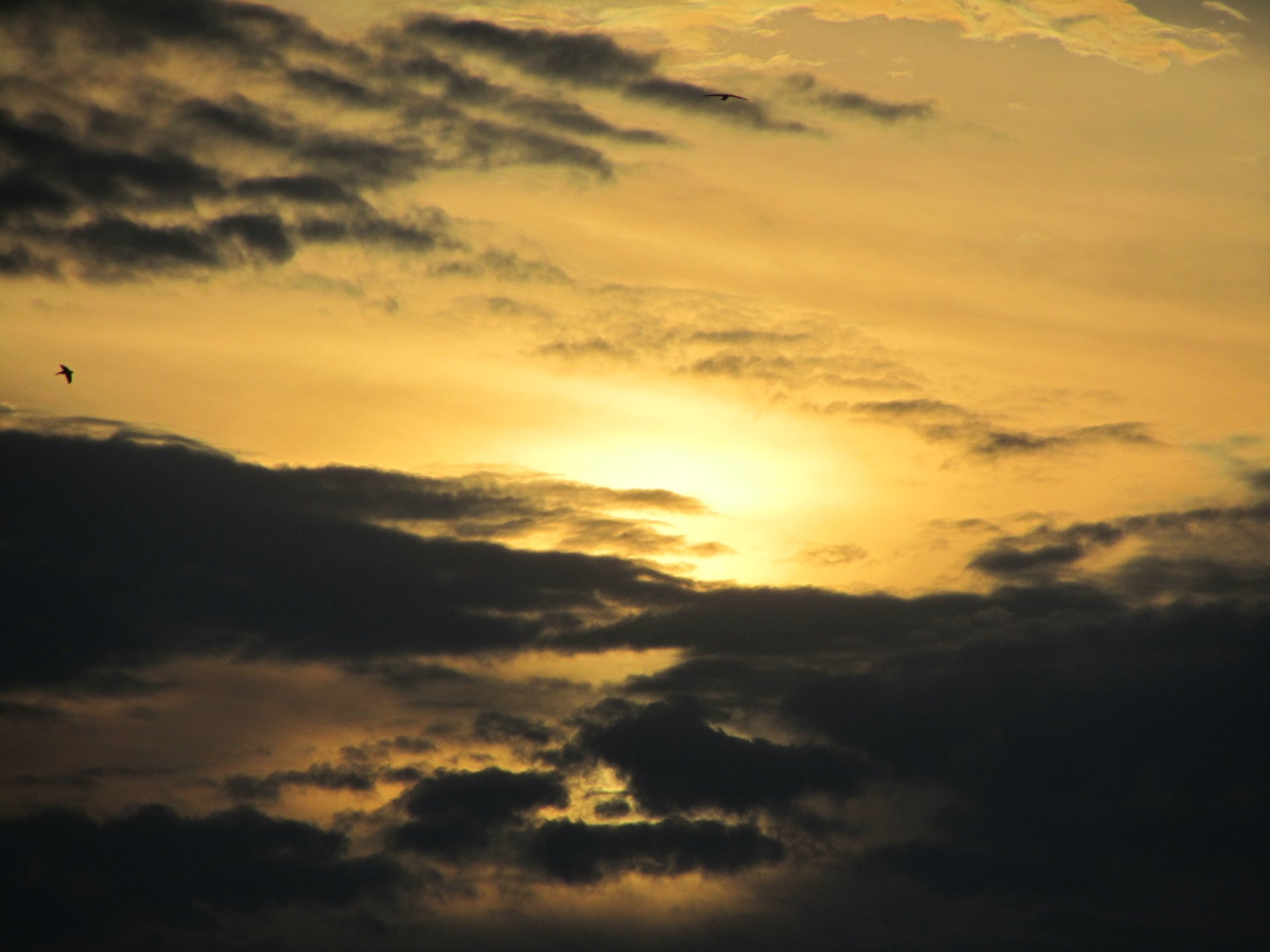 Cloud Image - ID: 273465 - Image Abyss