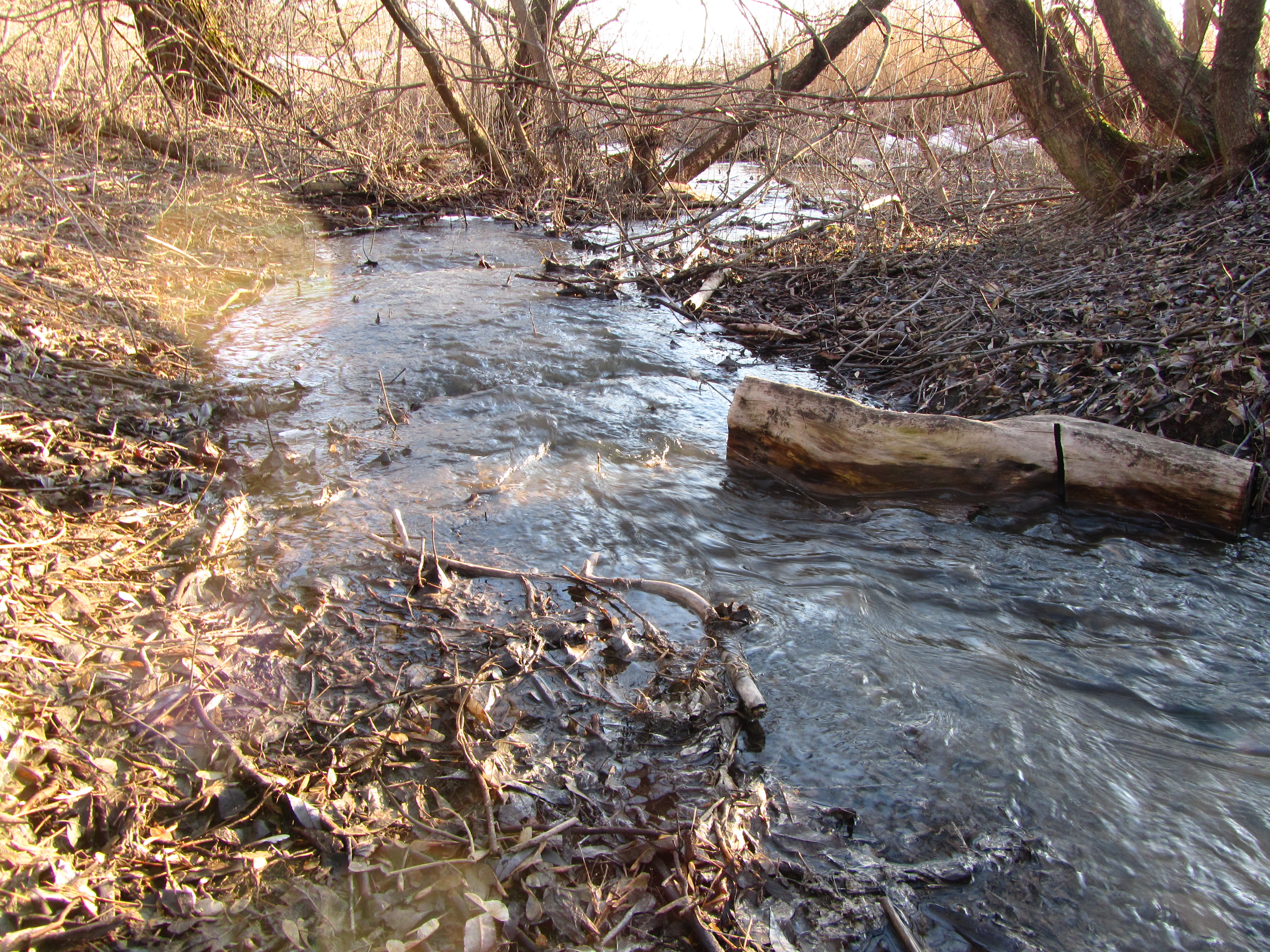 Download Nature Stream Image