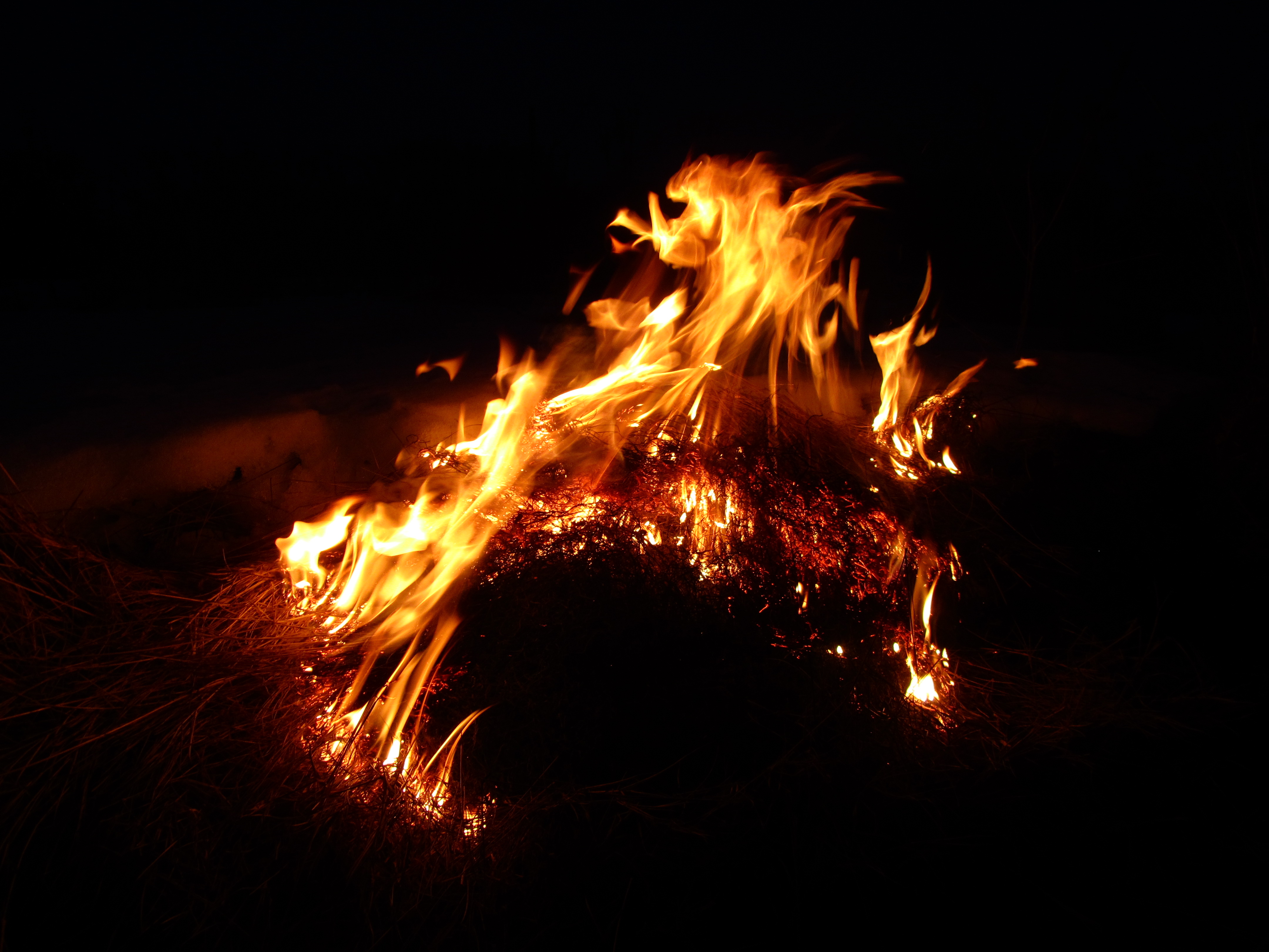 Fire Picture - Image Abyss