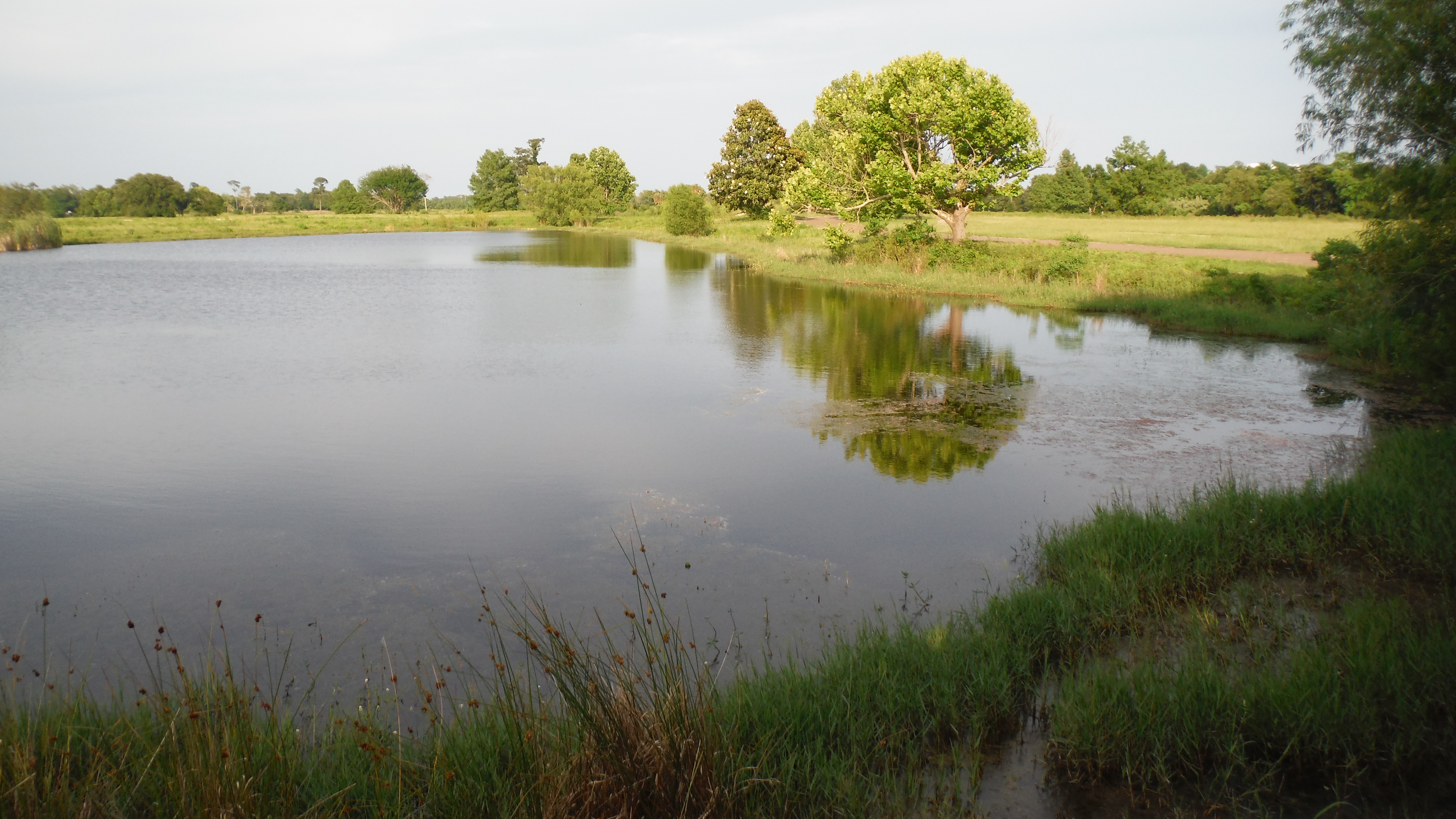 Download Nature Landscape Image by AlPha_GoD