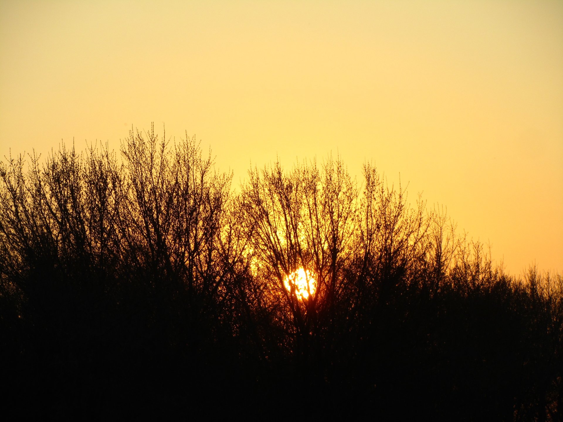 Download Nature Sunset Image
