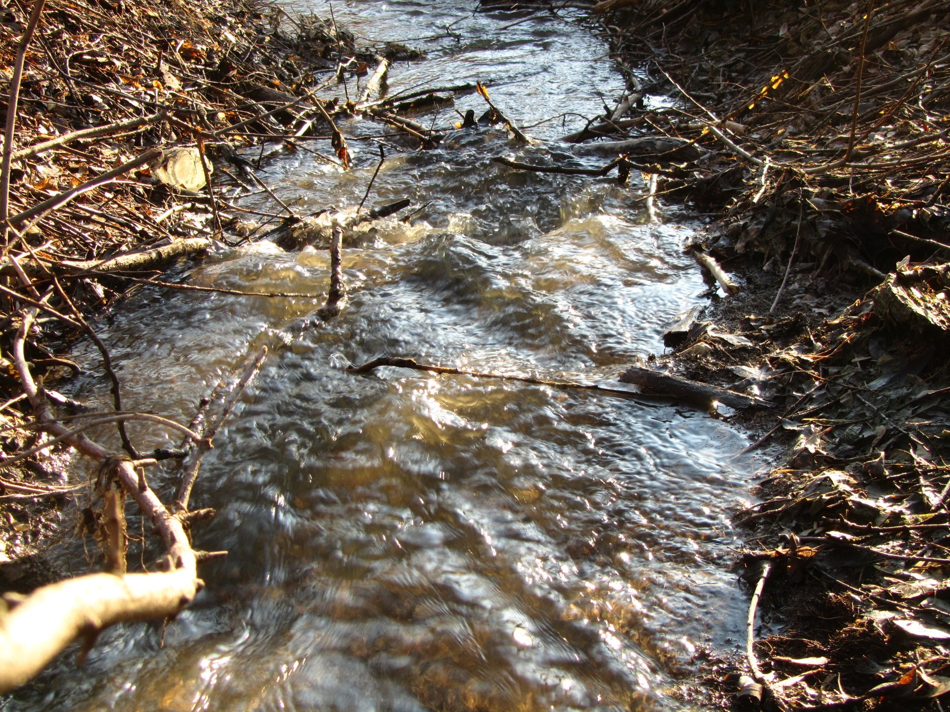 Download Nature Stream Image