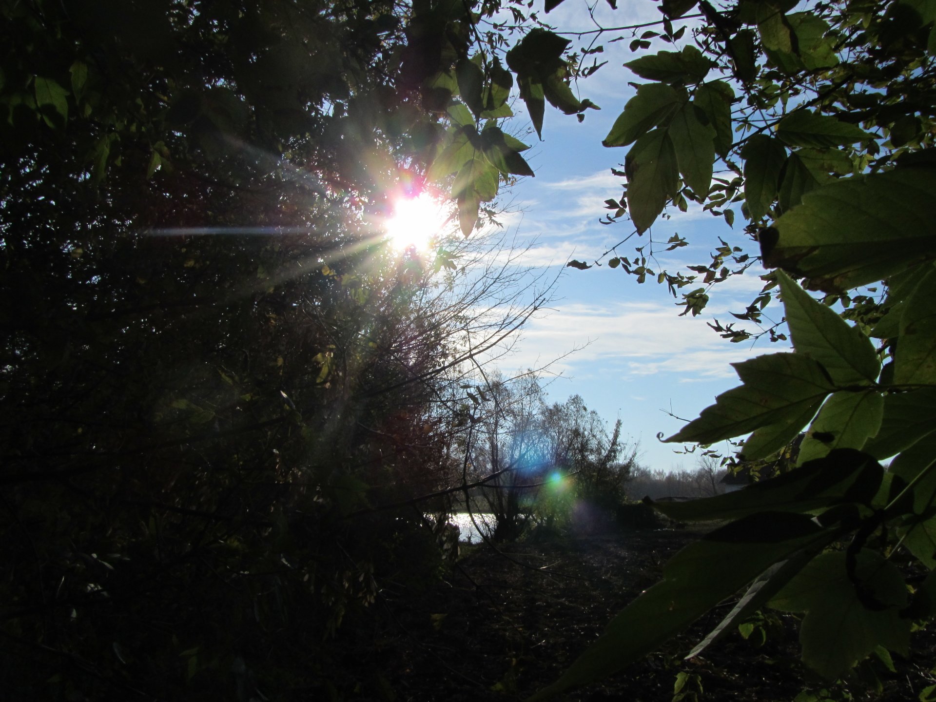 Download Nature Sunbeam Image