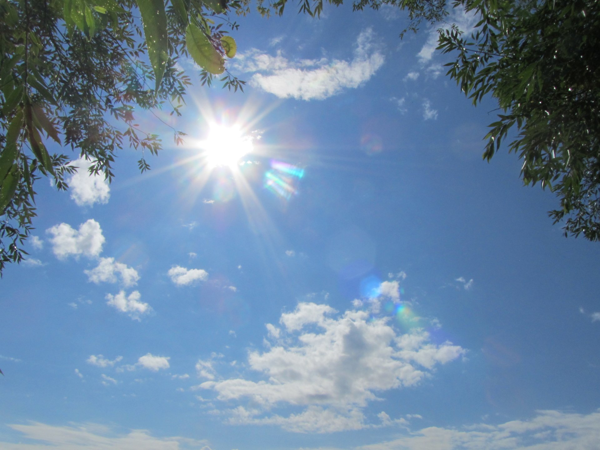 Download Nature Sunbeam Image