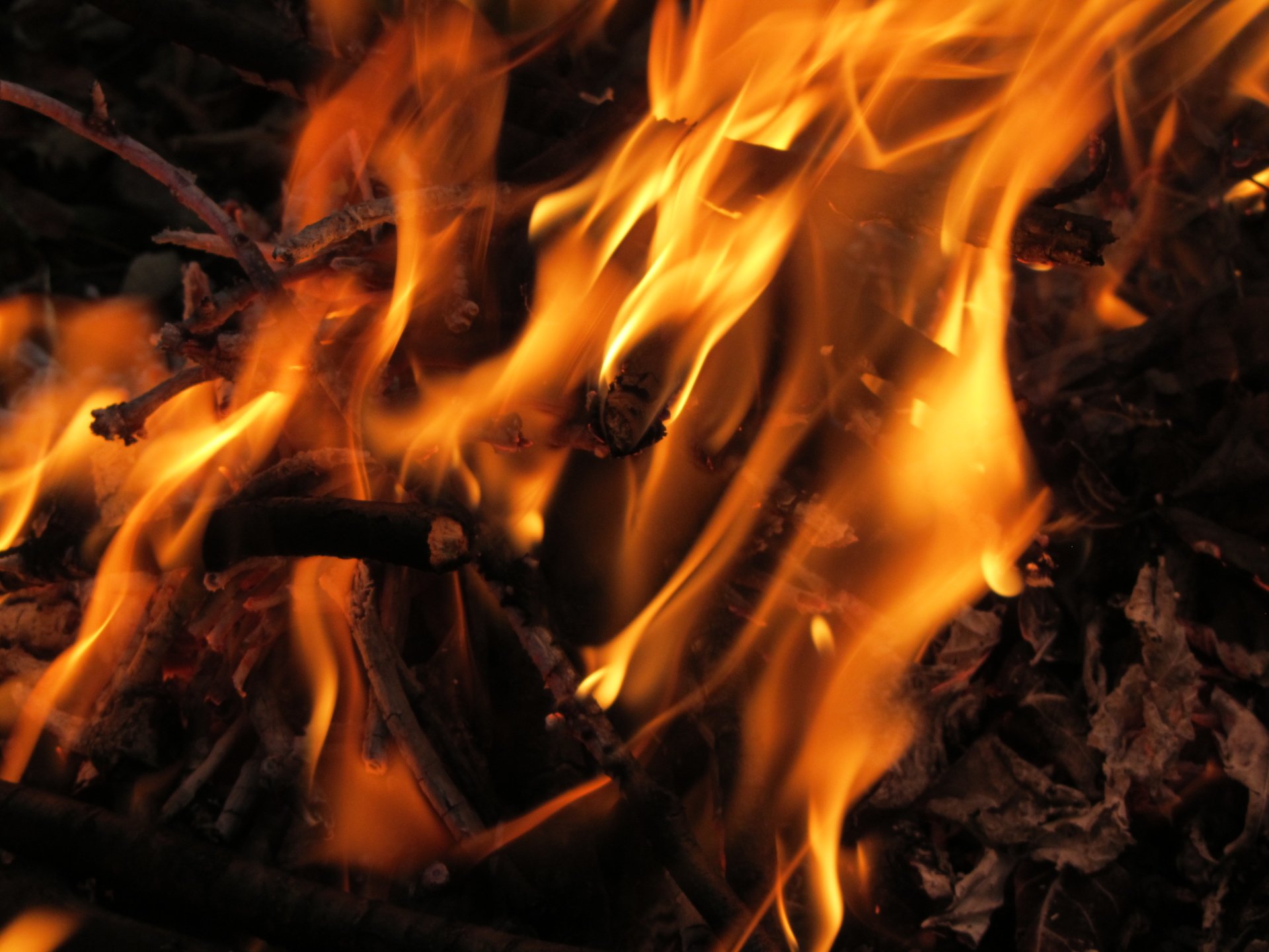 Fire Image - ID: 274771 - Image Abyss