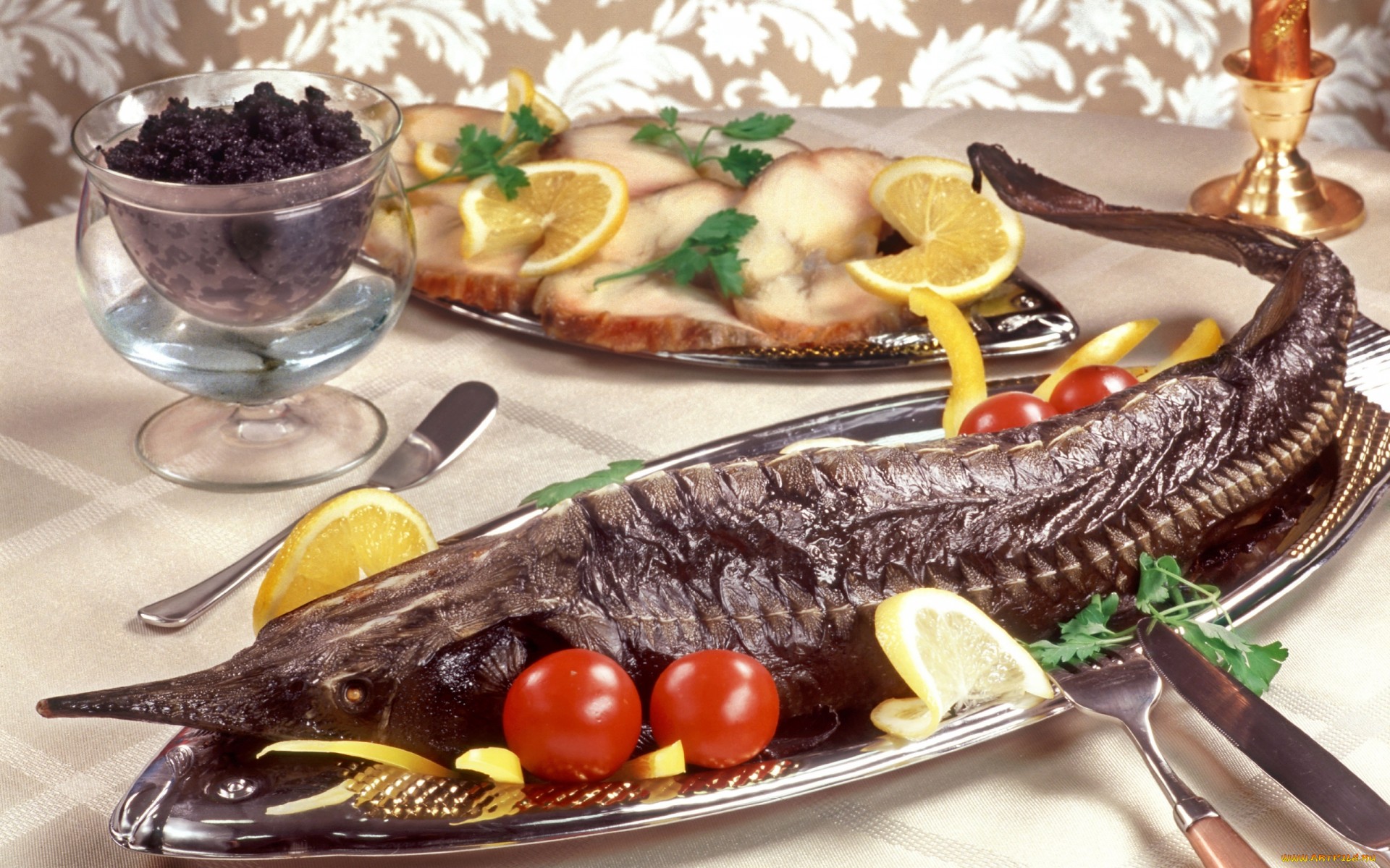 Fish Picture - Image Abyss