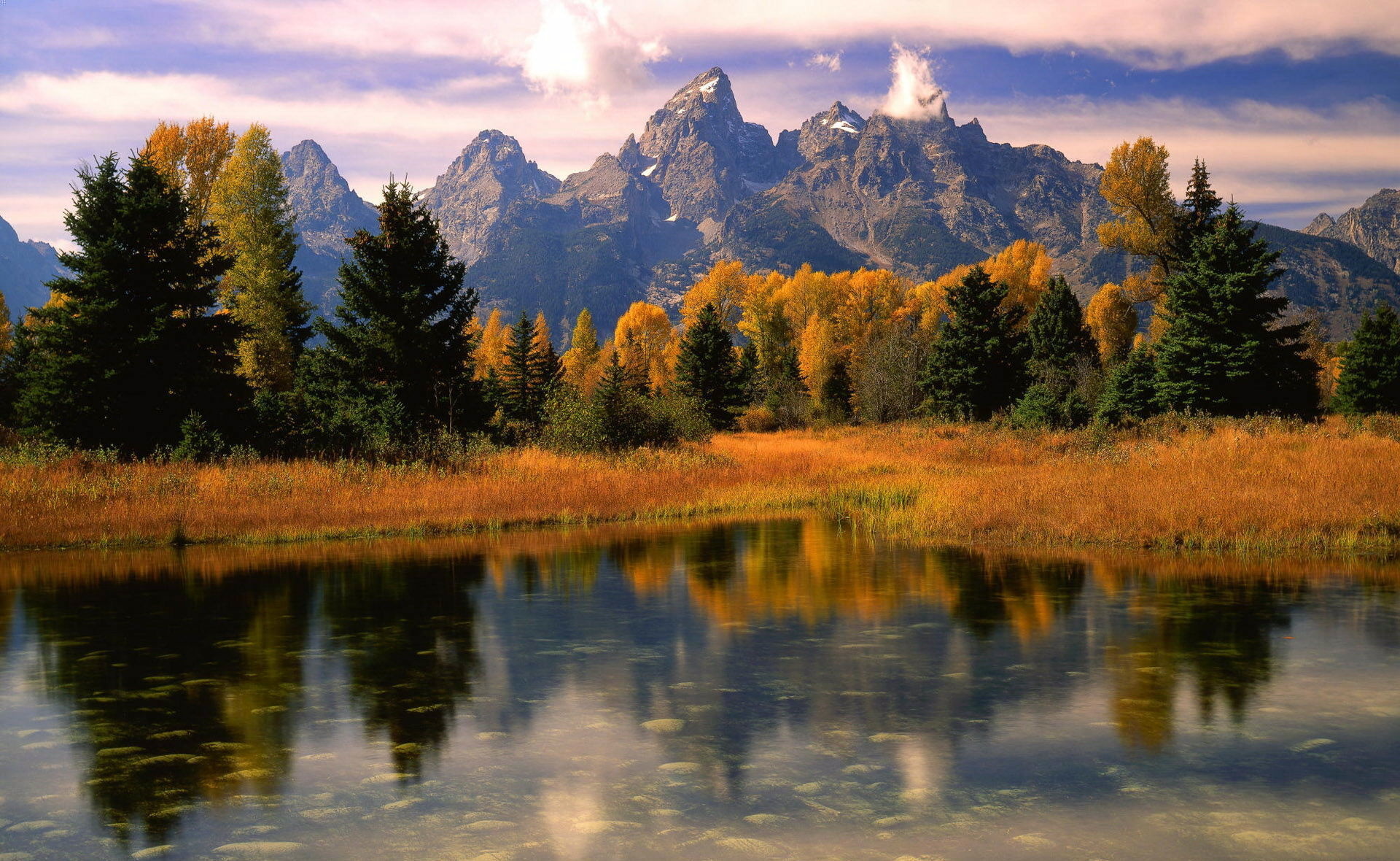 Download Nature Reflection Image