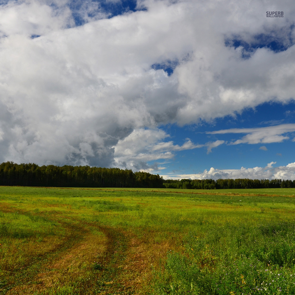 Download Nature Grass Field Image