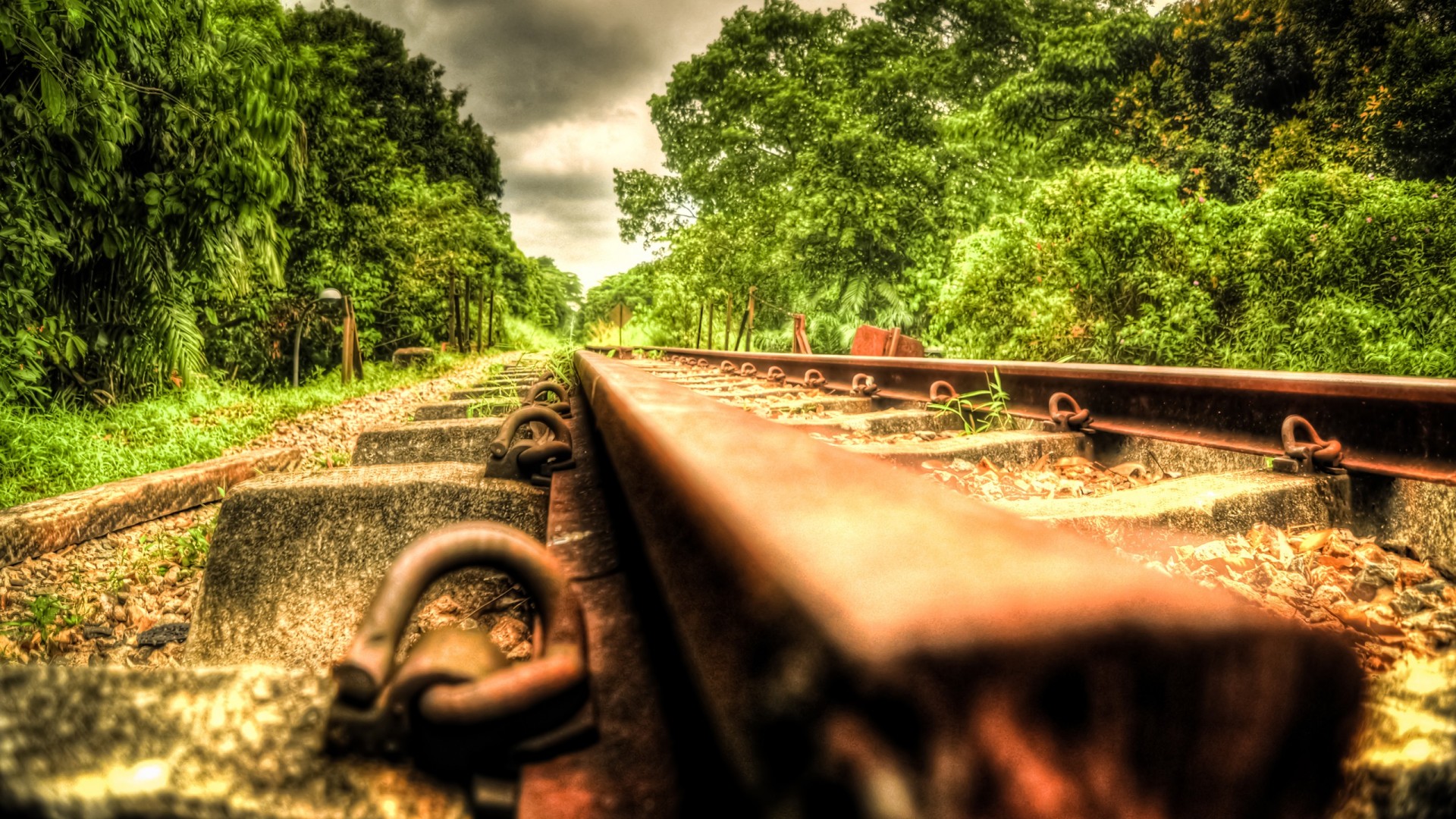 Download Man Made Railroad Tracks Nature Landscape Image