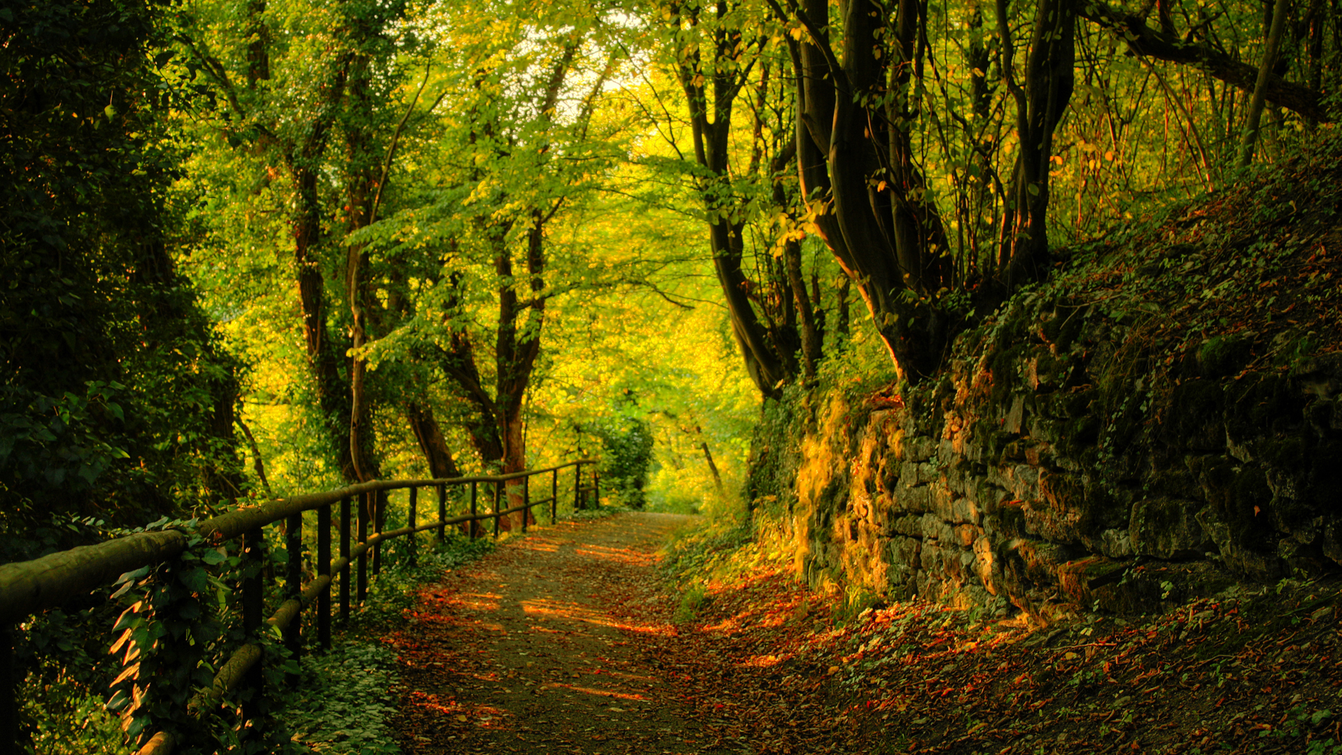 Download Nature Path Image