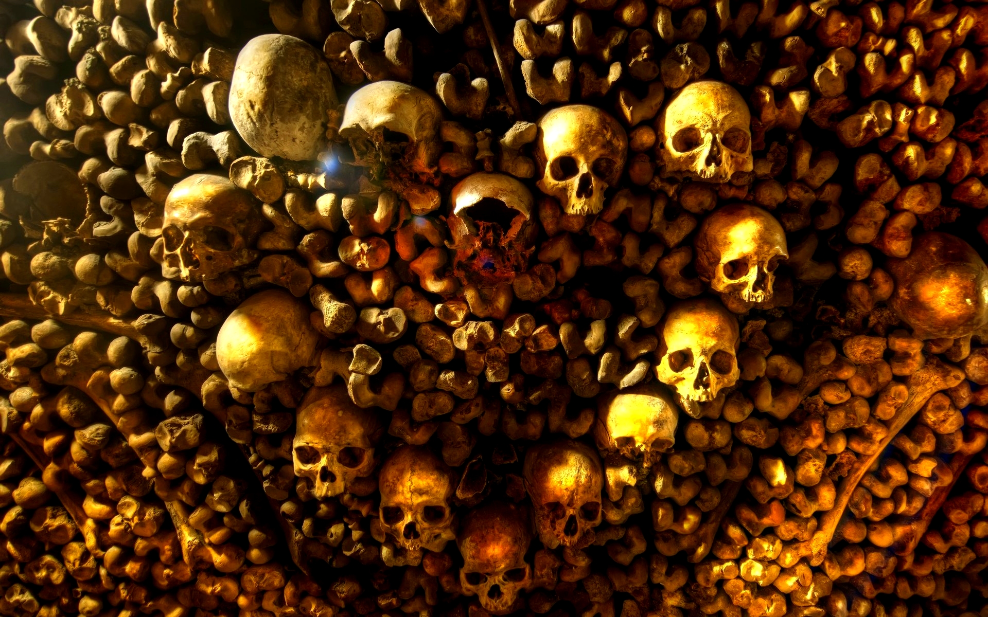 dark-echoes-the-realm-of-skulls