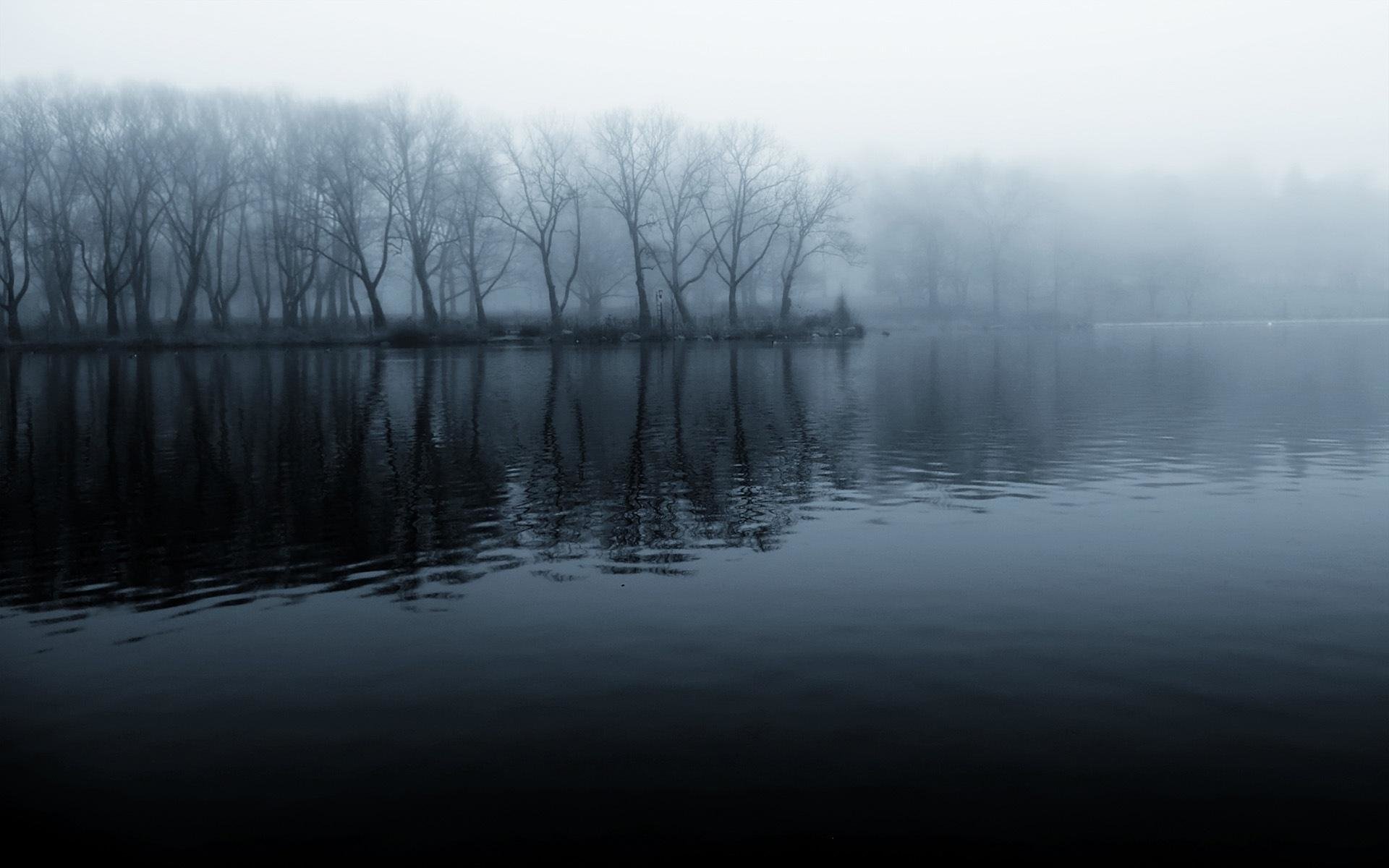 Fog Picture - Image Abyss