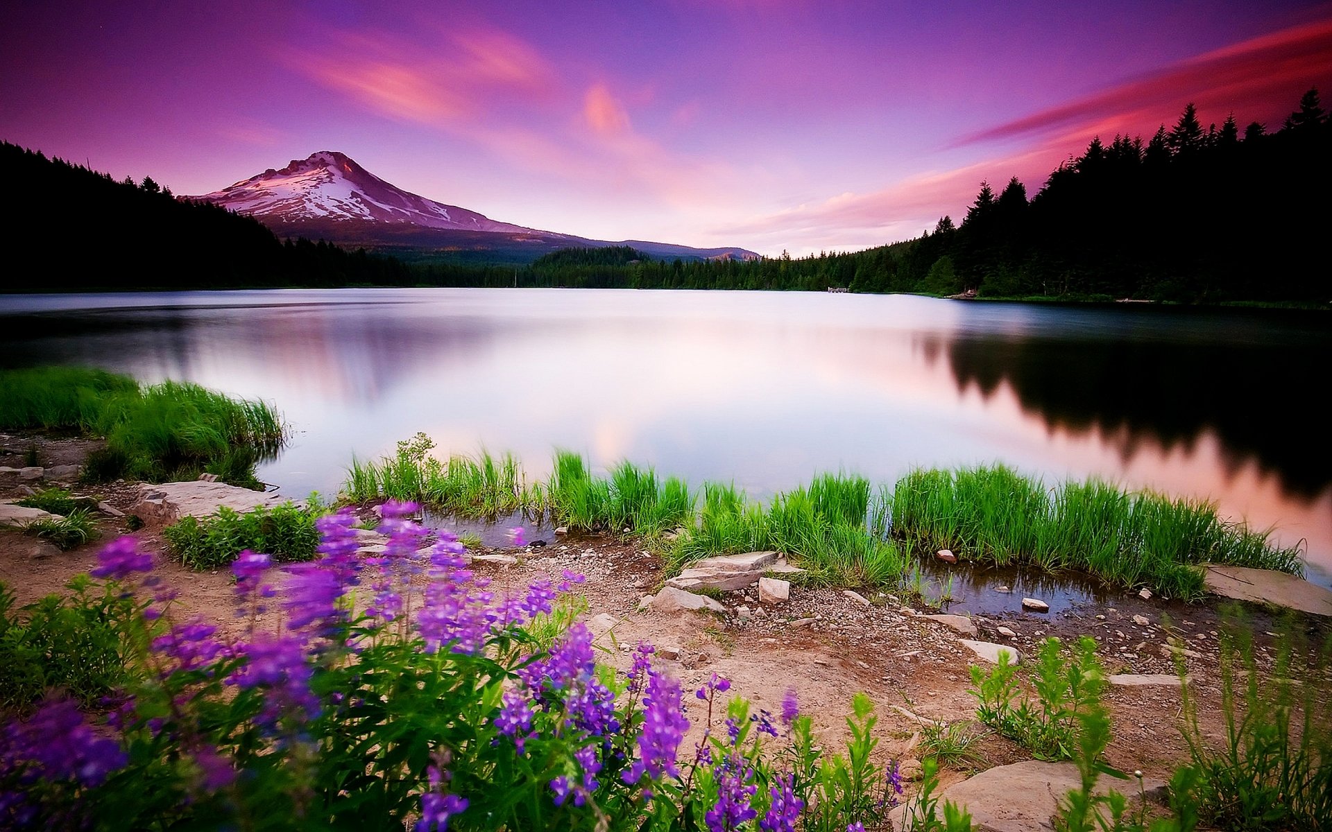 Download Nature Lake Image