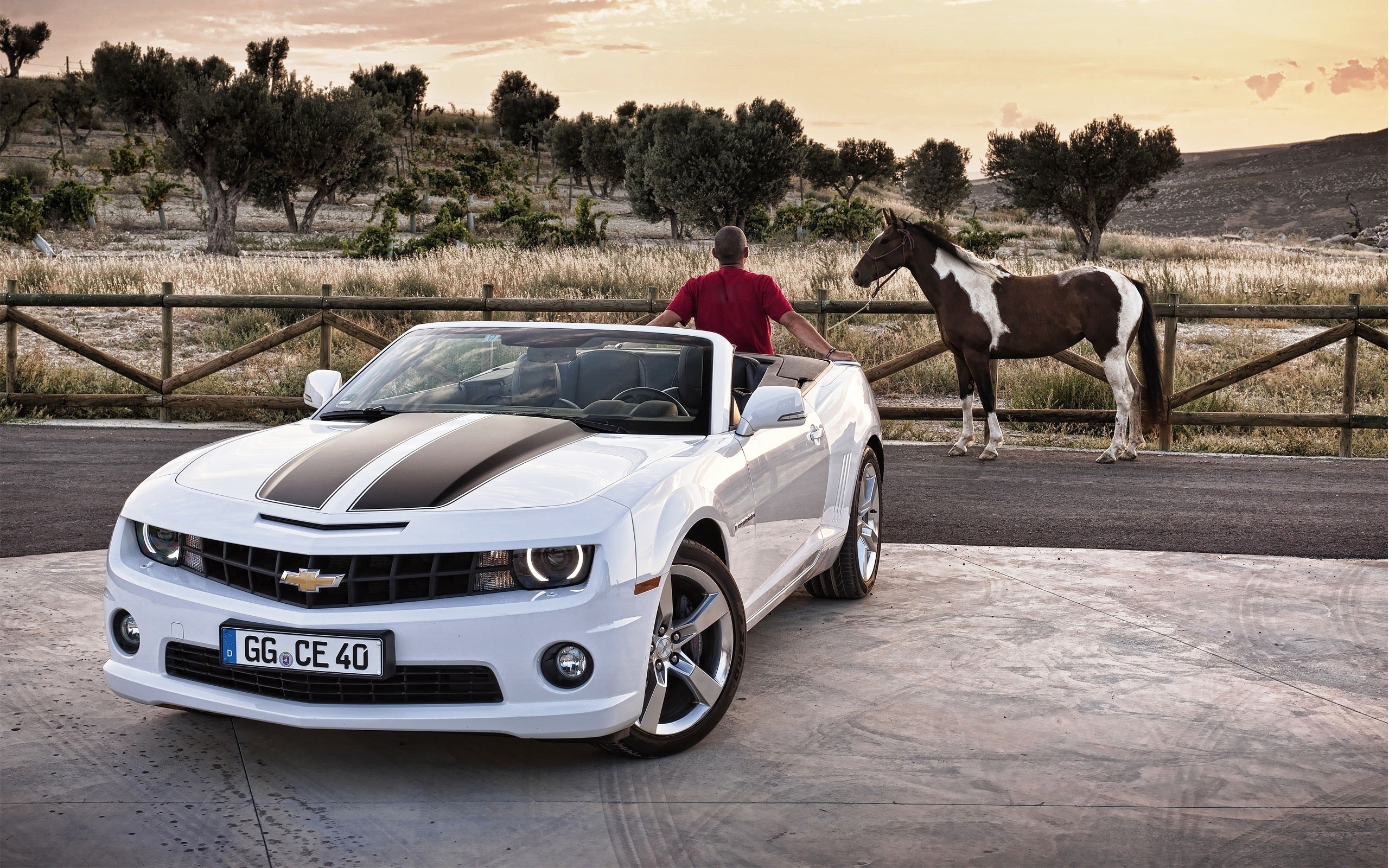 Download Vehicle Chevrolet Image