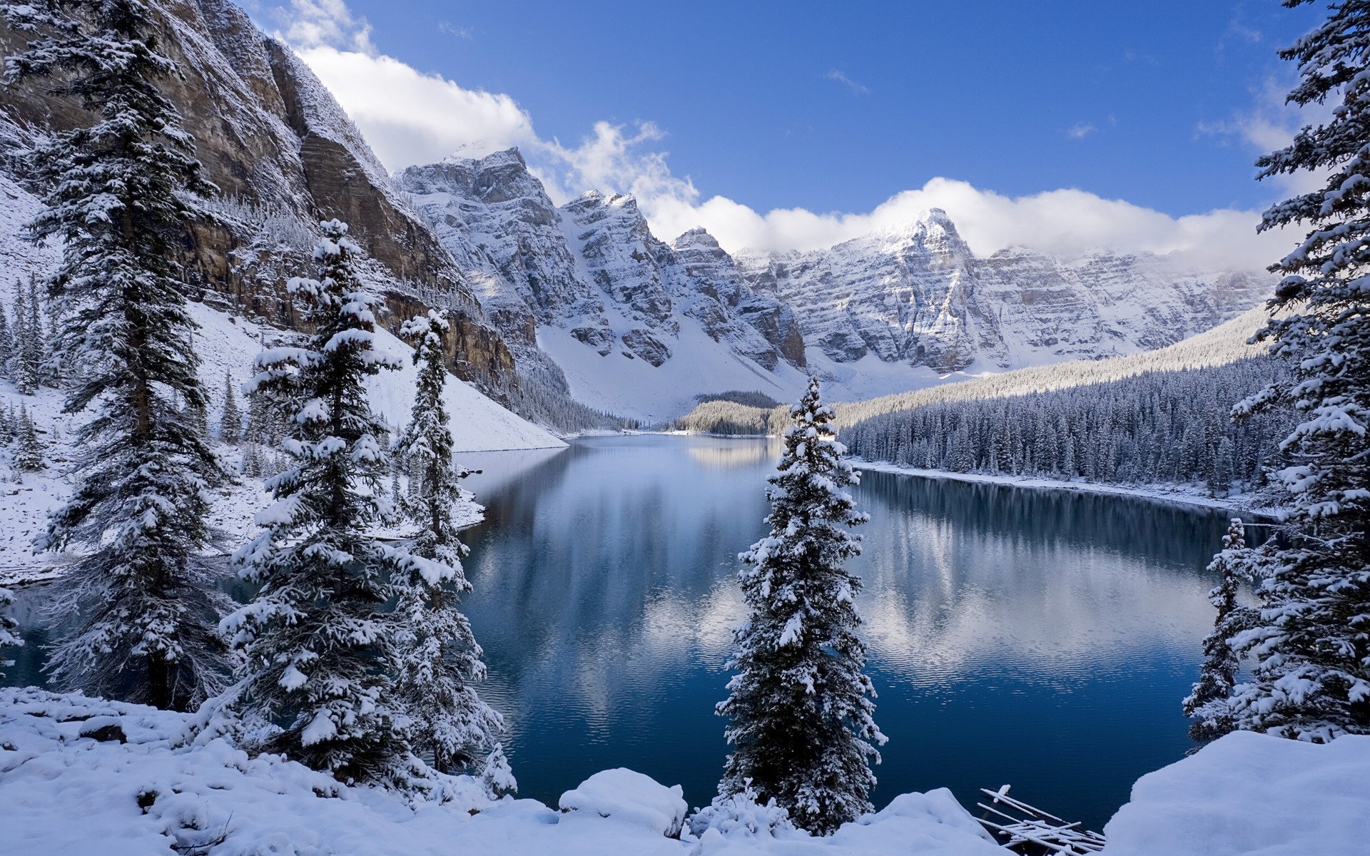 Winter Image - ID: 278448 - Image Abyss