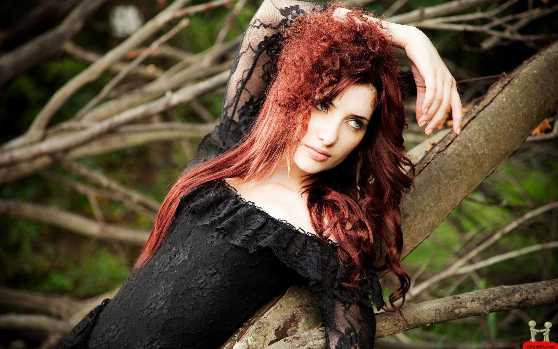 Download Celebrity Susan Coffey Image