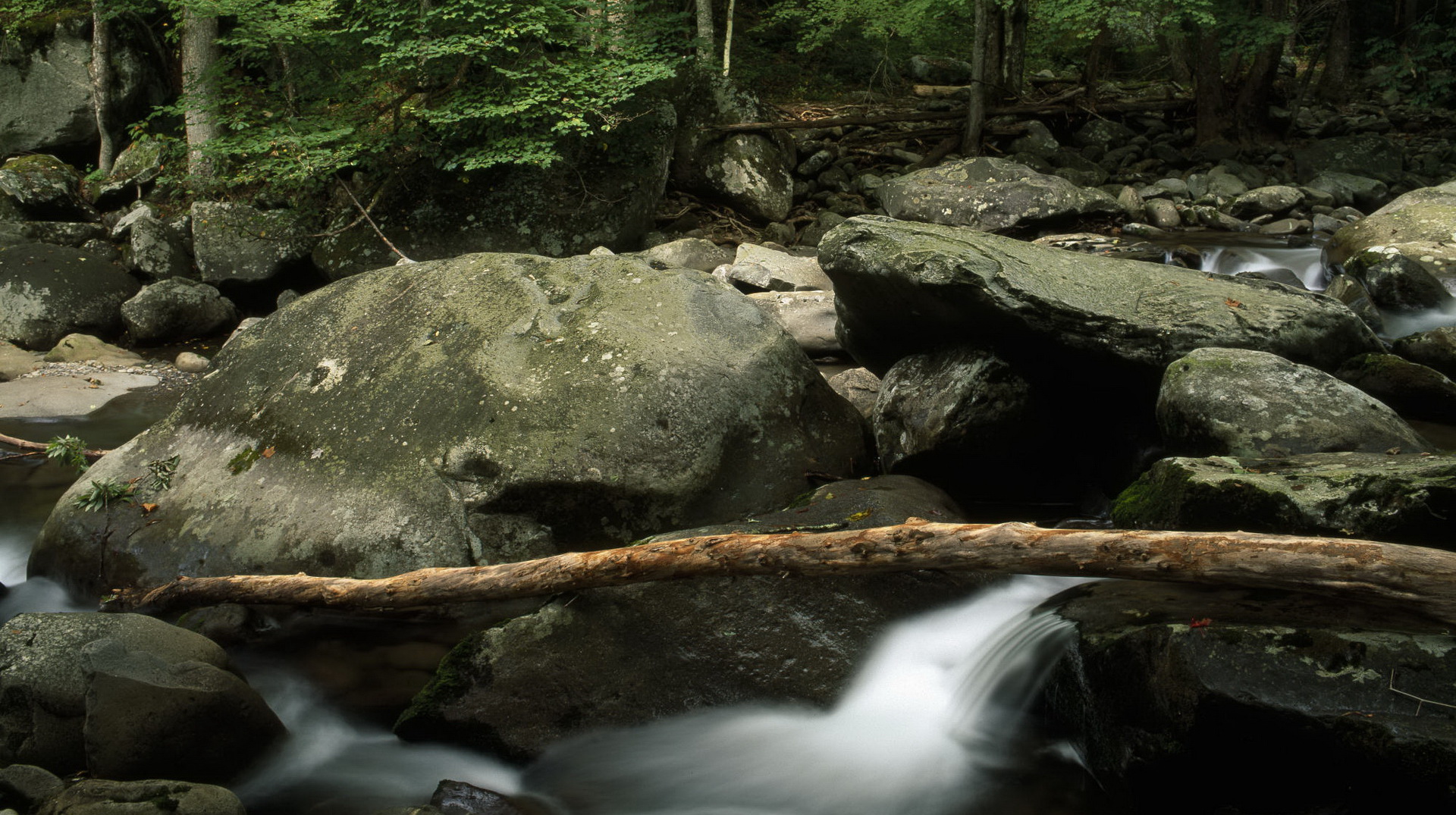 Download Nature Stream Image