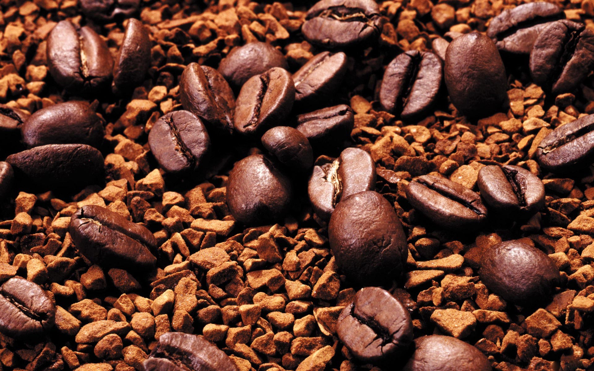 Rich Coffee Beans and Bold Flavors