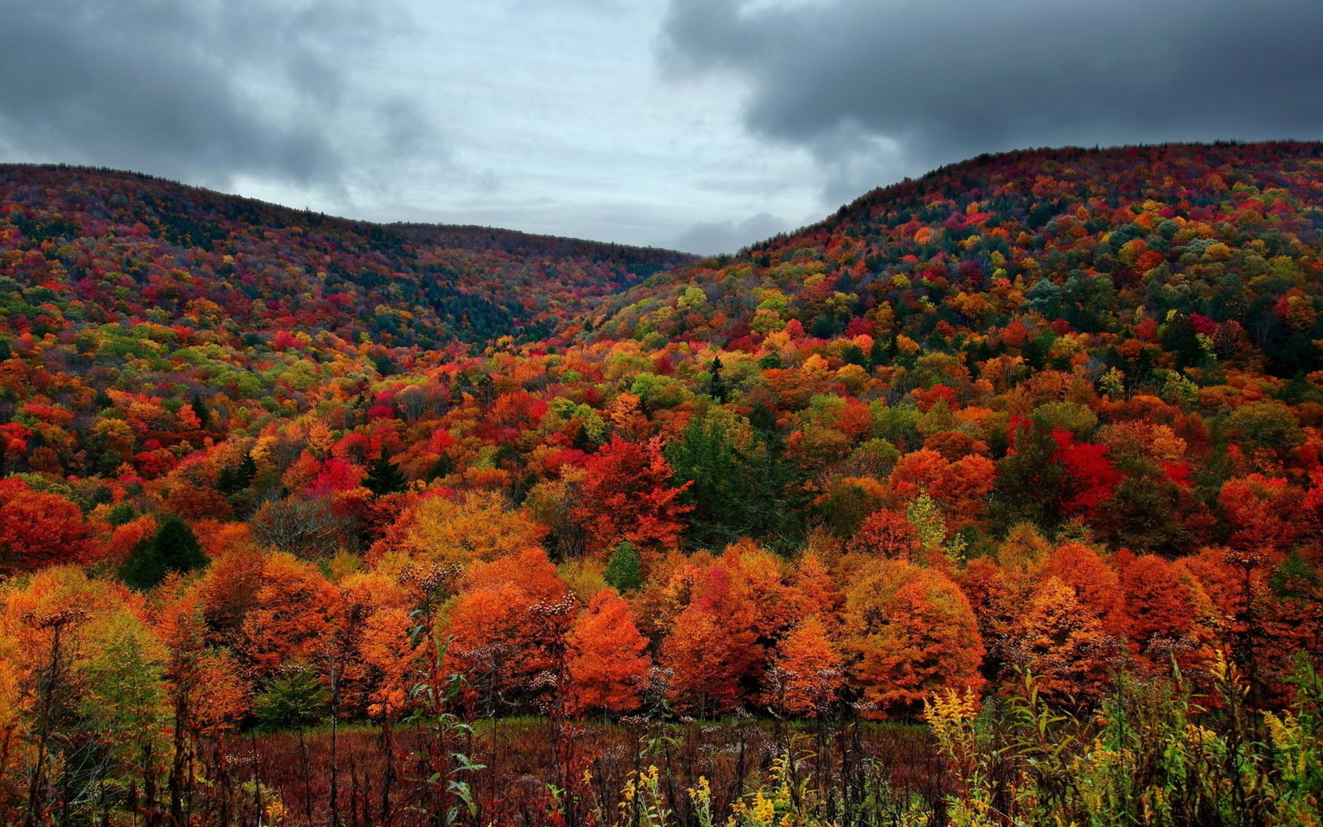 Download Nature Fall Image