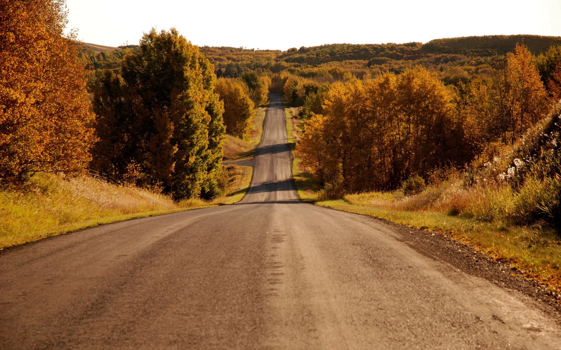 Download Man Made Road Image