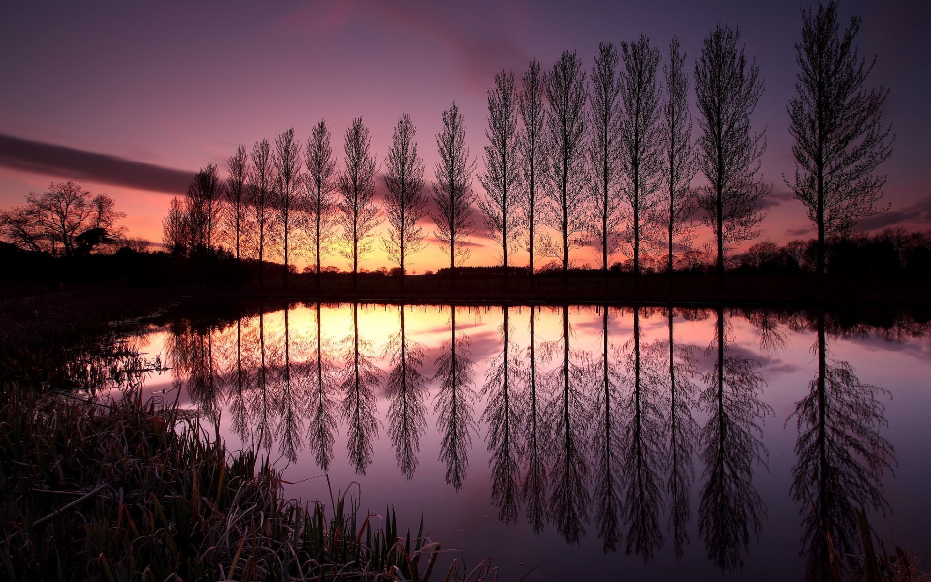 Download Nature Reflection Image