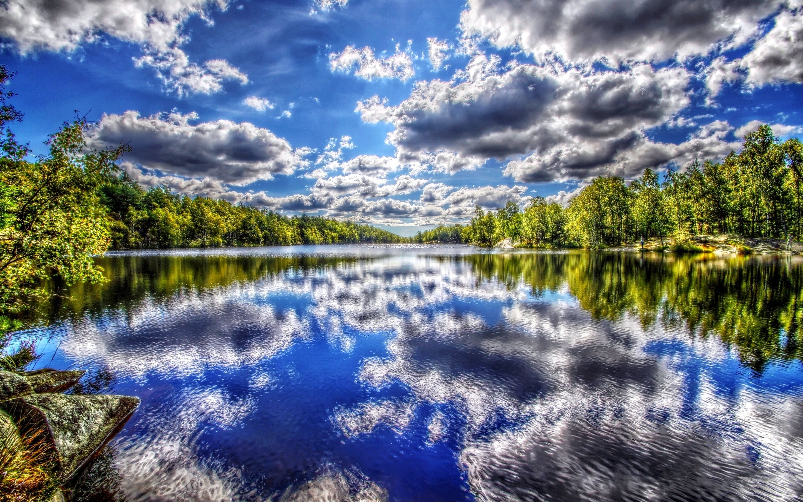 Download Nature Reflection Image
