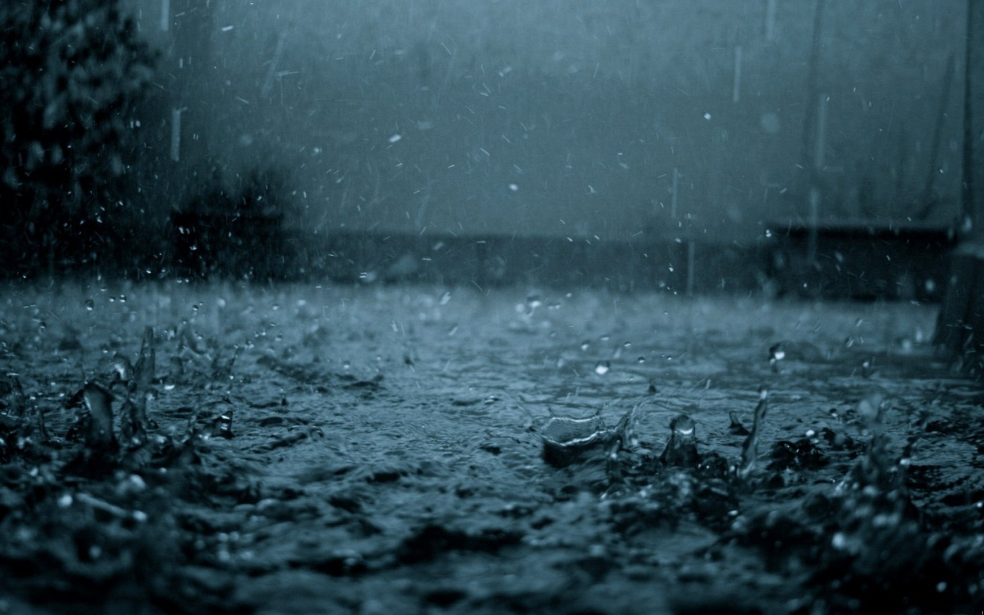 Capturing the Dance of Rain: A Photography Experience
