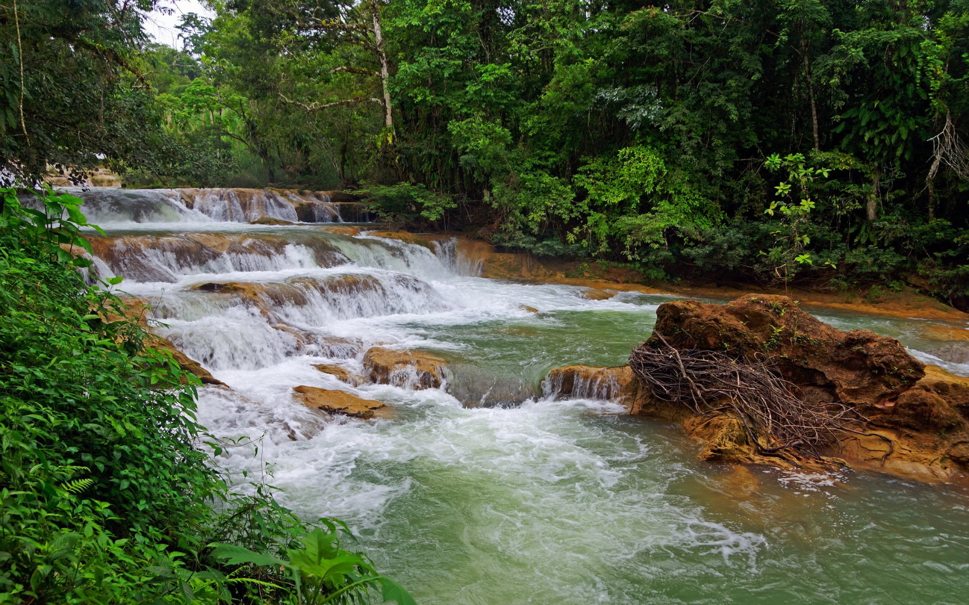 Tranquil River Flow Through Lush Green Nature