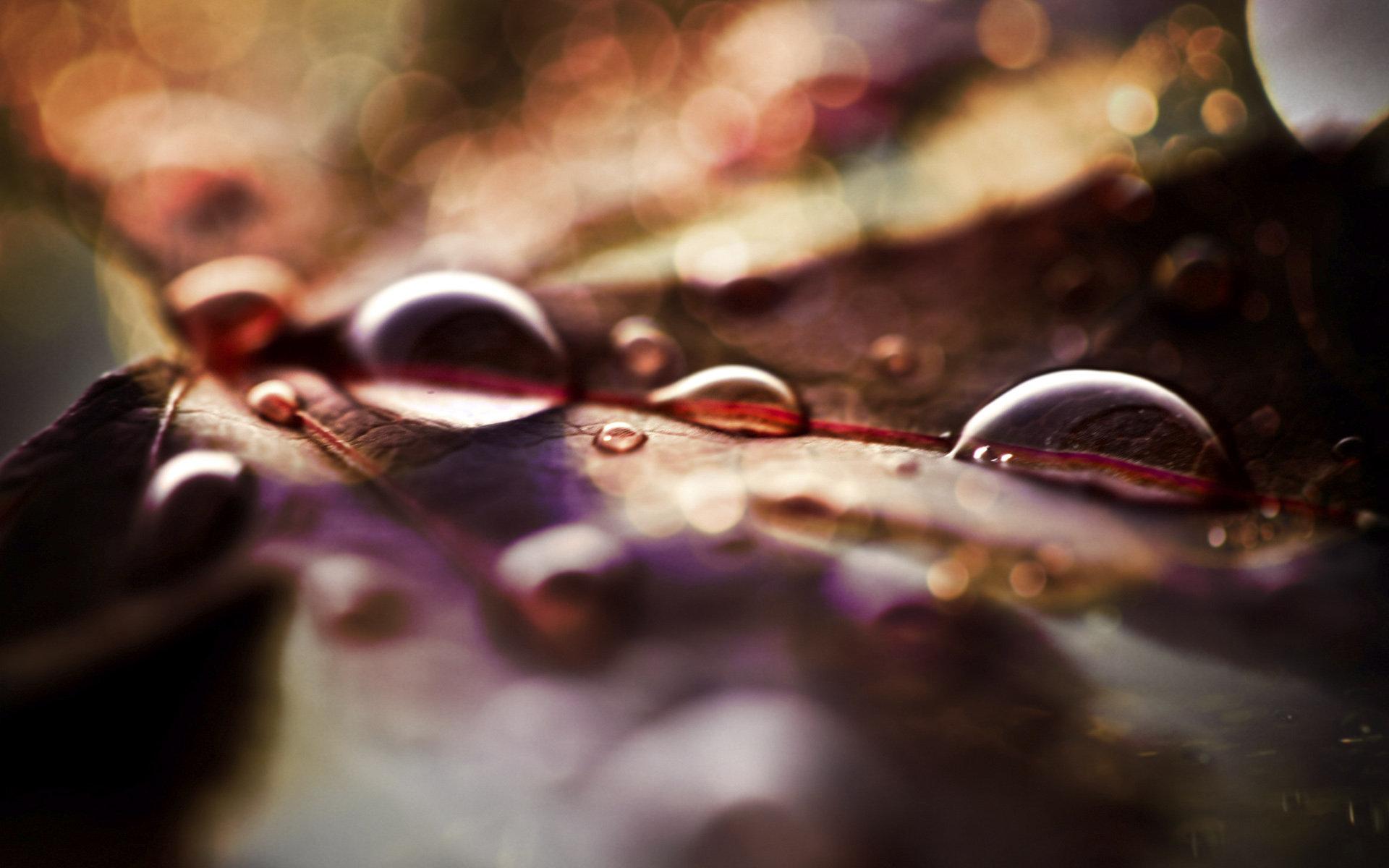 Water Drop Picture - Image Abyss