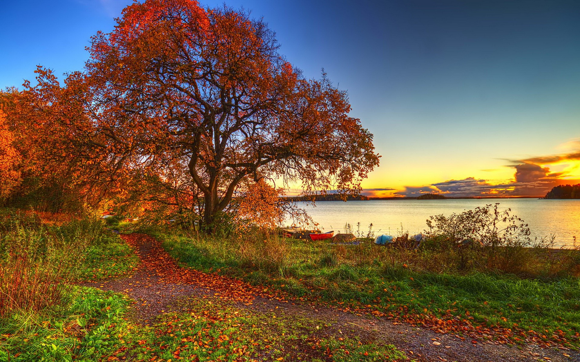 Download Nature Fall Image