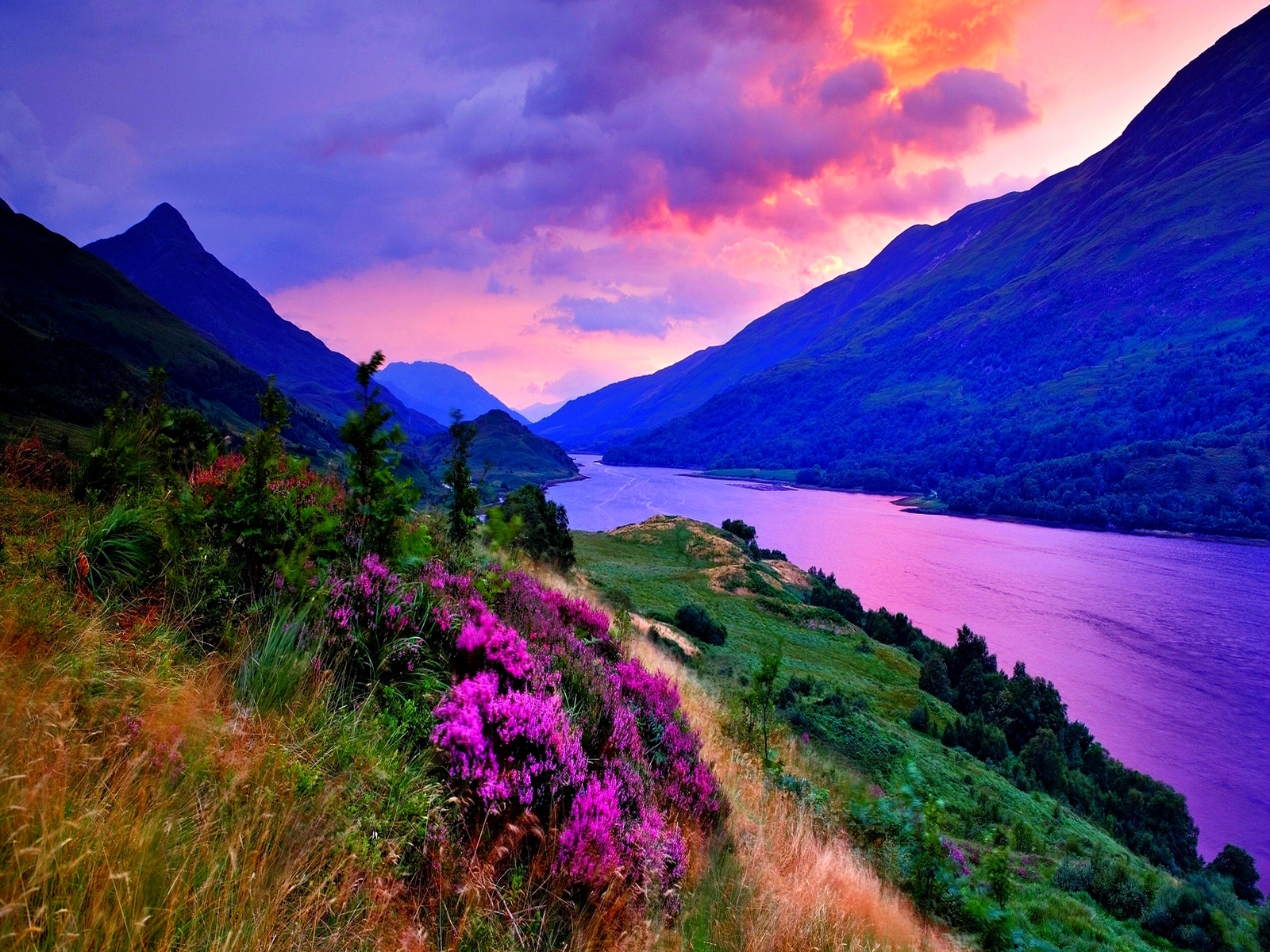 Download Nature Landscape Image