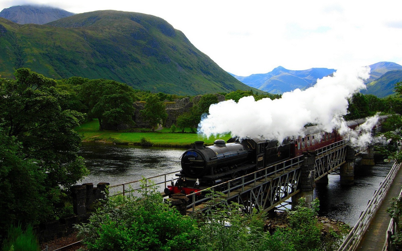 Scenic Journey: The Majestic Steam Train
