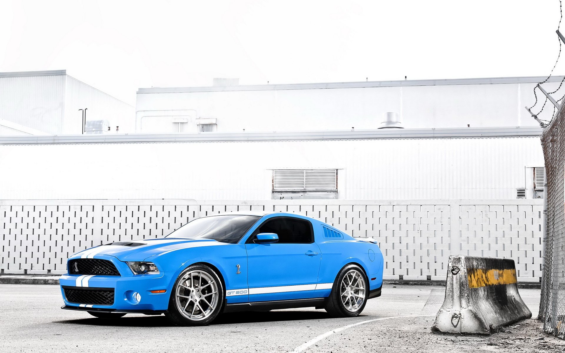 Ford Mustang Shelby Cobra GT 500 - Desktop Wallpapers, Phone Wallpaper ...